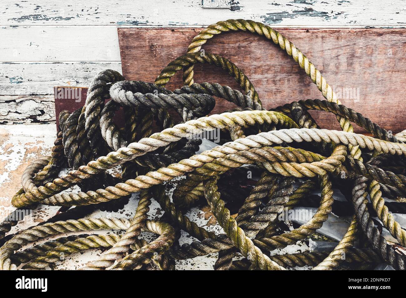 Tangled rope hi-res stock photography and images - Alamy