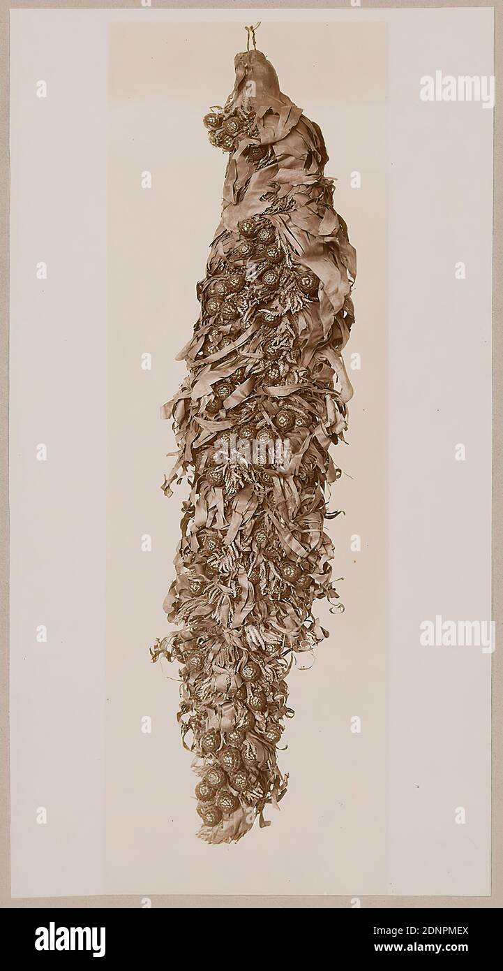 Wilhelm Weimar, cone, collodion paper, black and white positive process ...