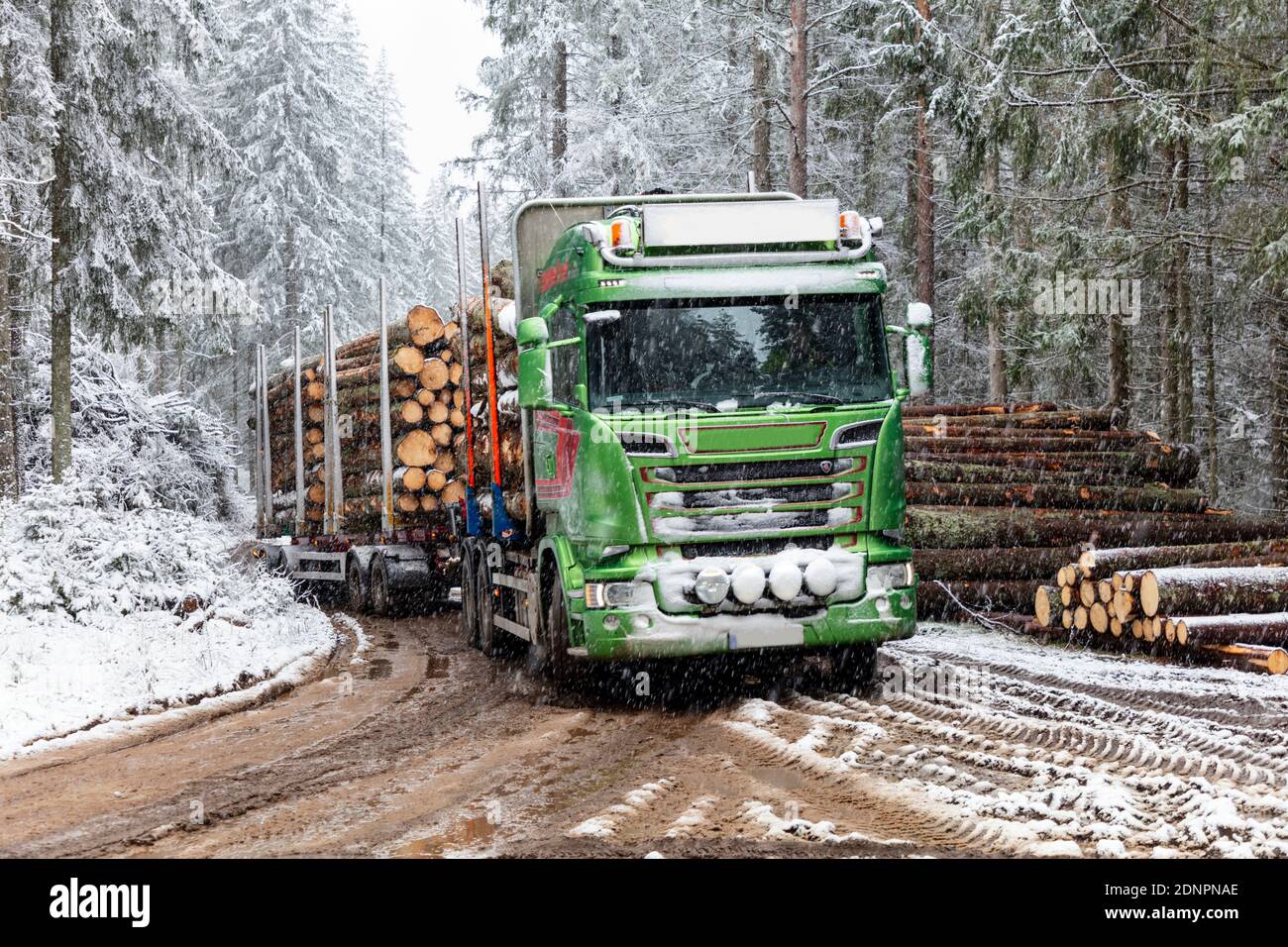 Lorry loaded with logs Stock Photo - Alamy