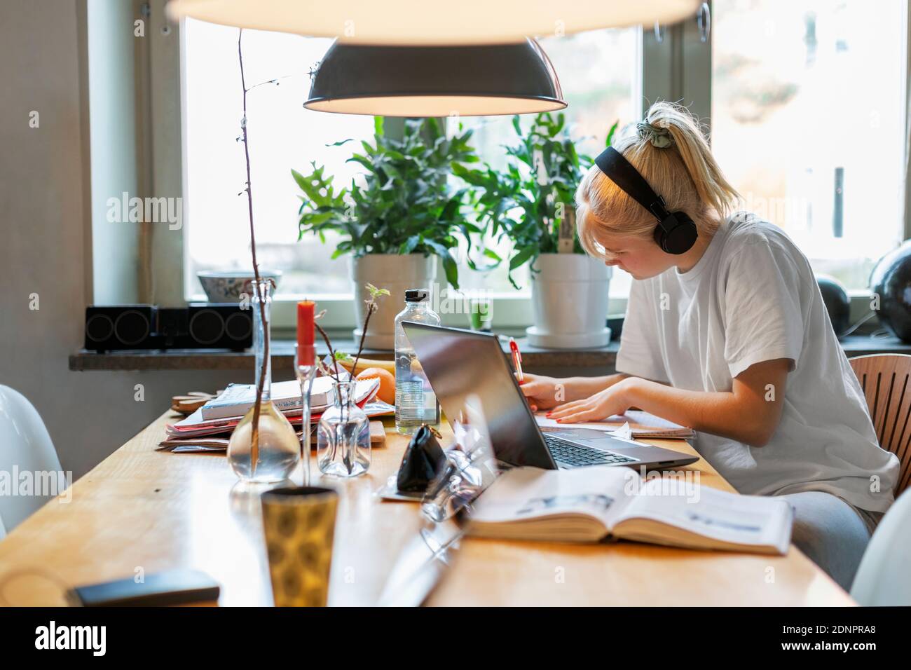Young woman studying Stock Photo - Alamy