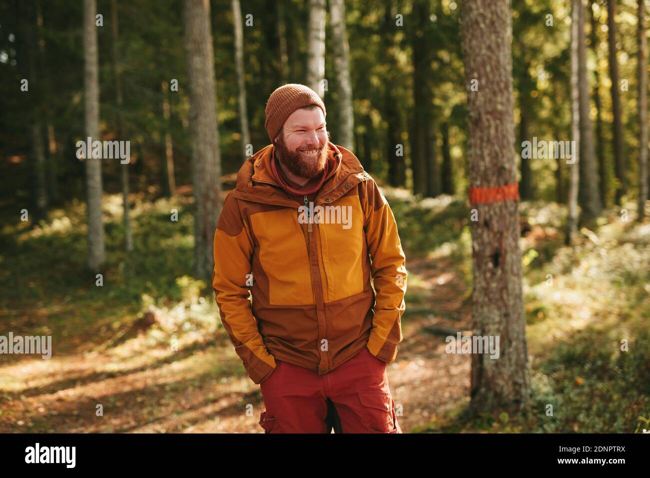 Smiling man standing in forest Stock Photo - Alamy