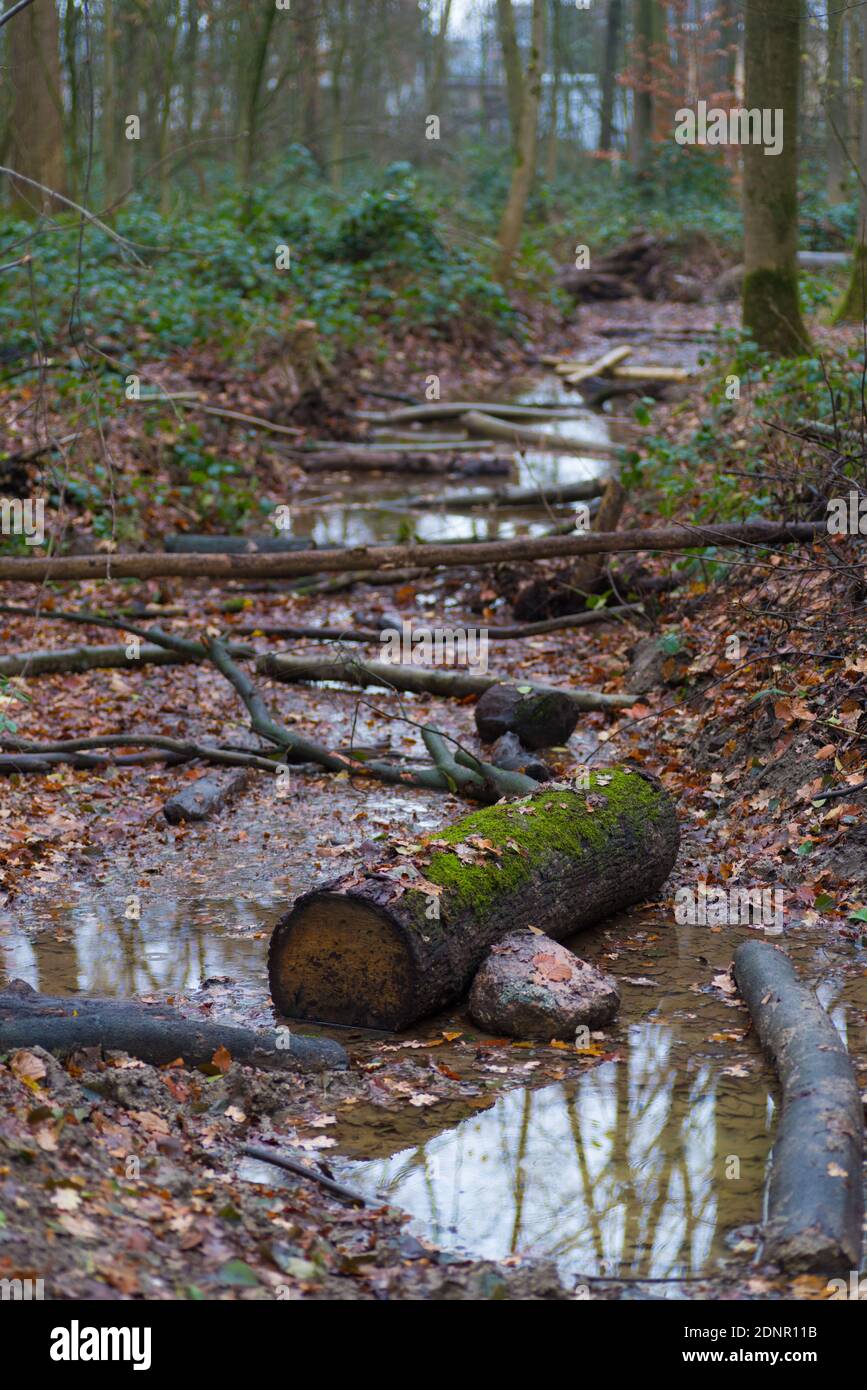 Combat drought hi-res stock photography and images - Alamy