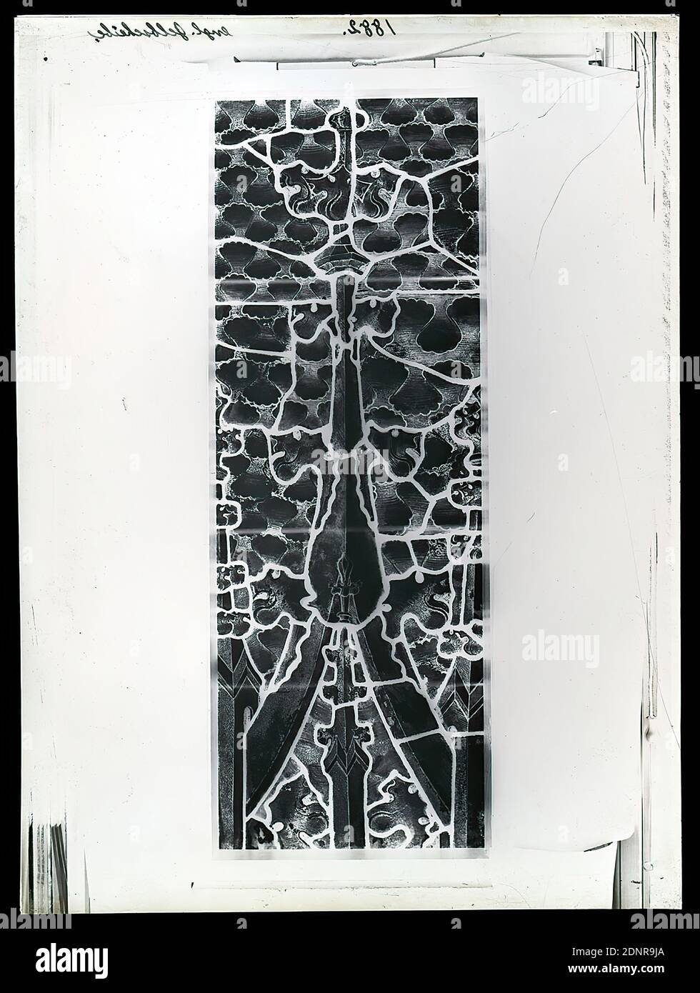 Wilhelm Weimar, Wimperg, glass negative, black and white negative ...