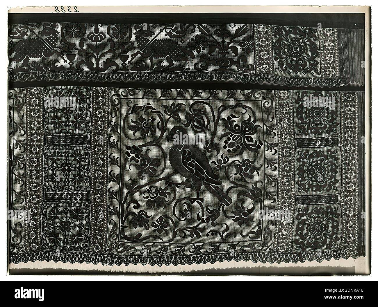 Wilhelm Weimar, hunger cloth (detail parrot), glass negative, black and ...