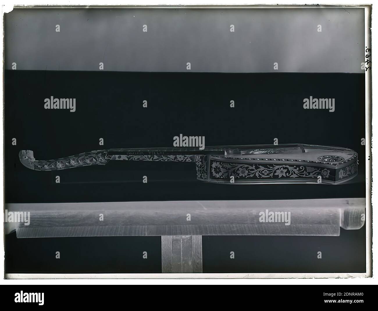 Right side view in Cut Out Stock Images & Pictures - Alamy