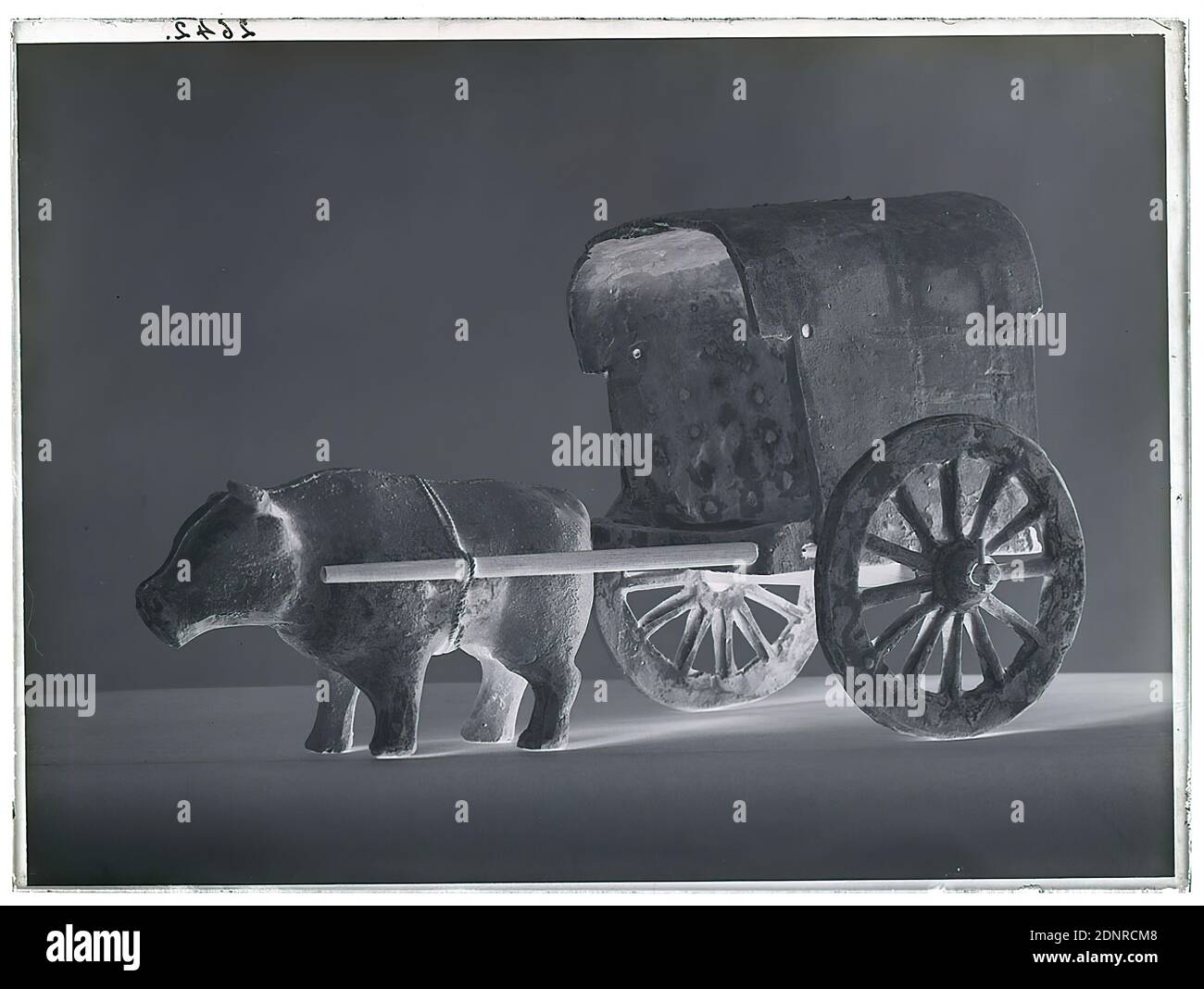 Draft cattle Cut Out Stock Images & Pictures - Alamy