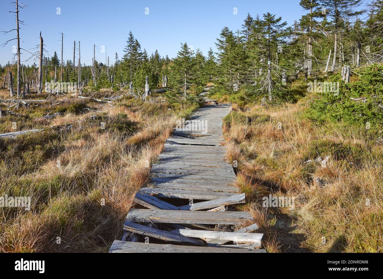 Old broken wooden bridge path in Karkonosze National Park, Poland Stock ...