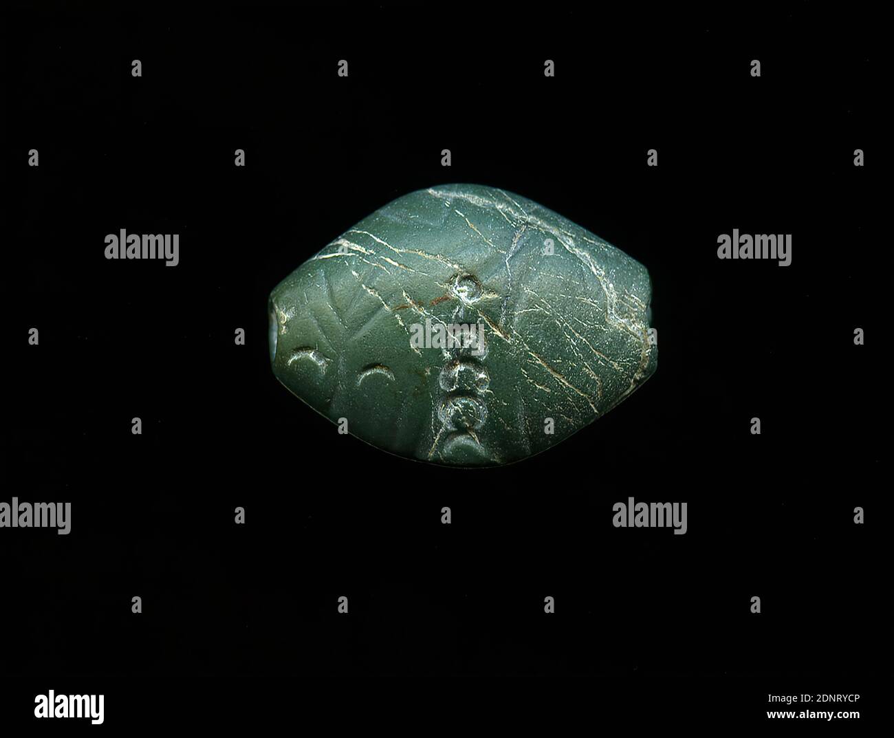 Silphion plant hi-res stock photography and images - Alamy