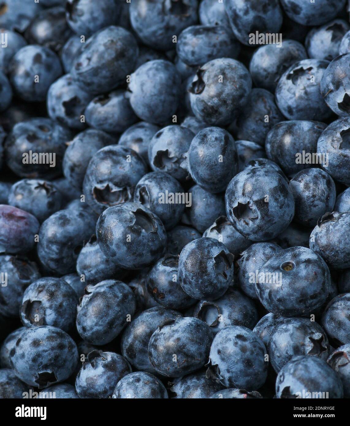A lot of blueberries, background of berries, top view Stock Photo - Alamy