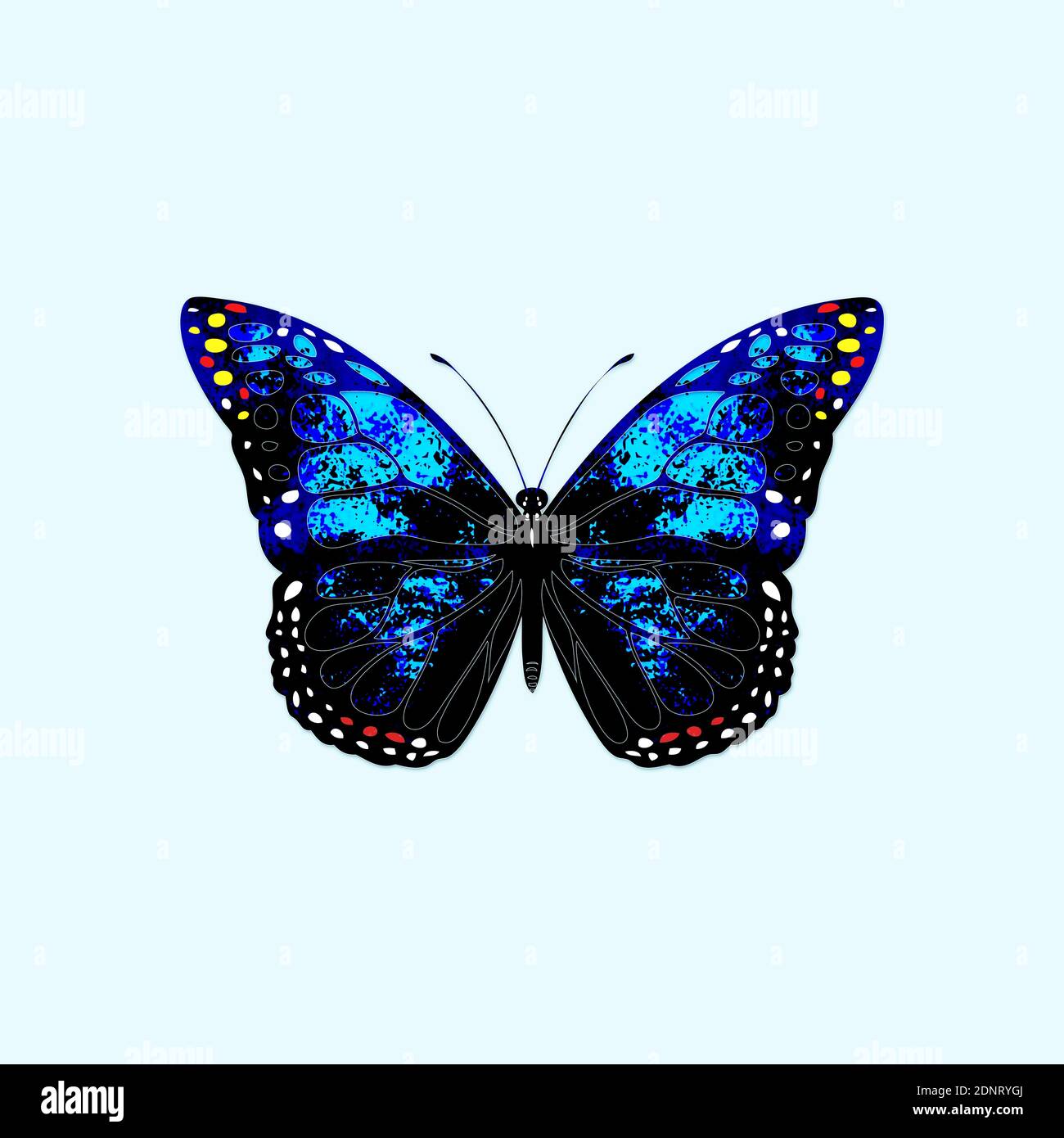 Blue butterfly graphic design Stock Photo - Alamy