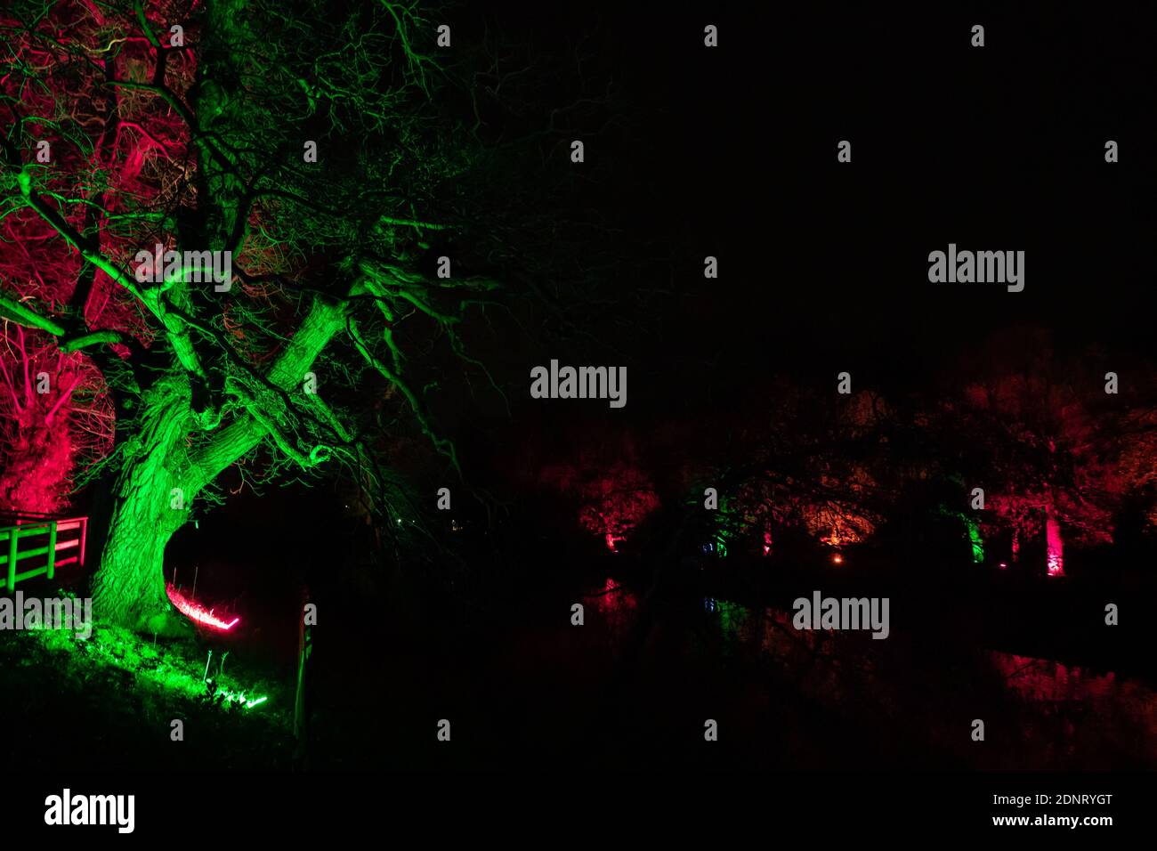 Lit tree hi-res stock photography and images - Alamy