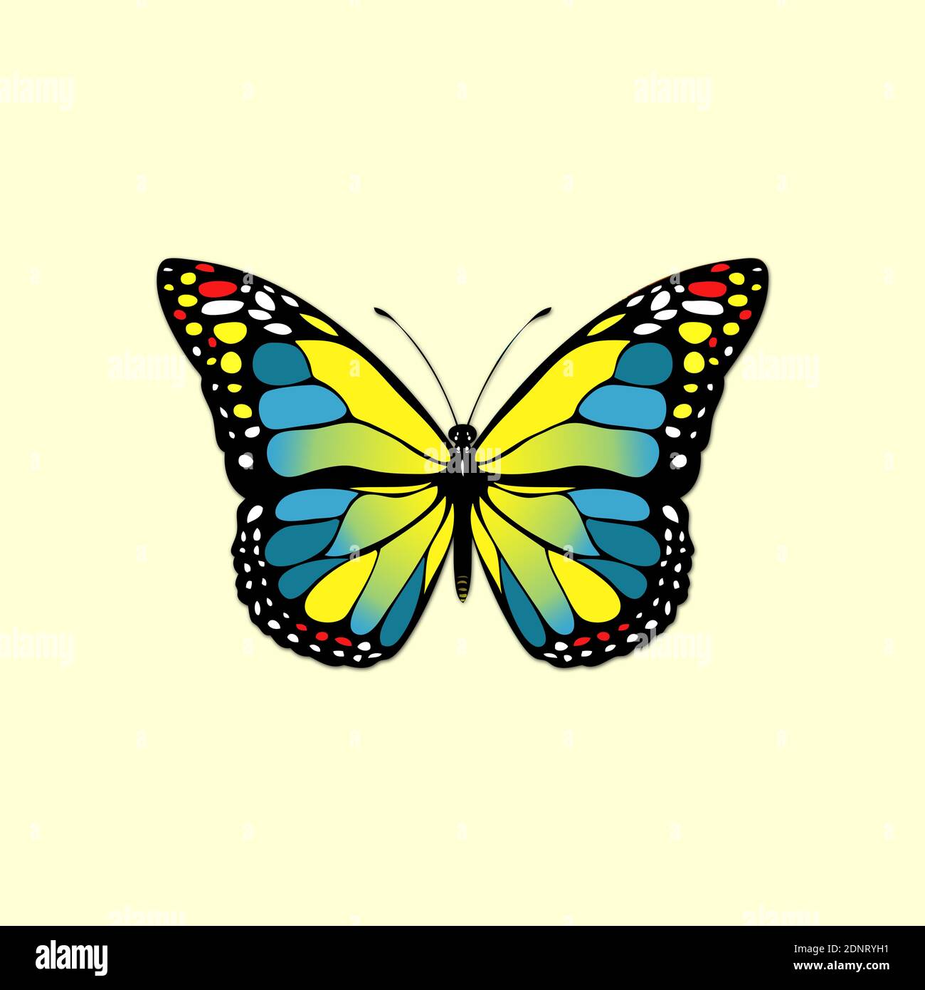 Butterfly Graphic Design
