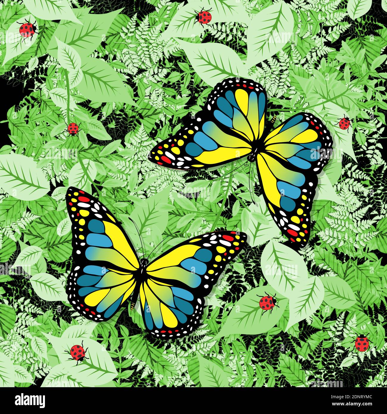 Yellow Butterflies Identification