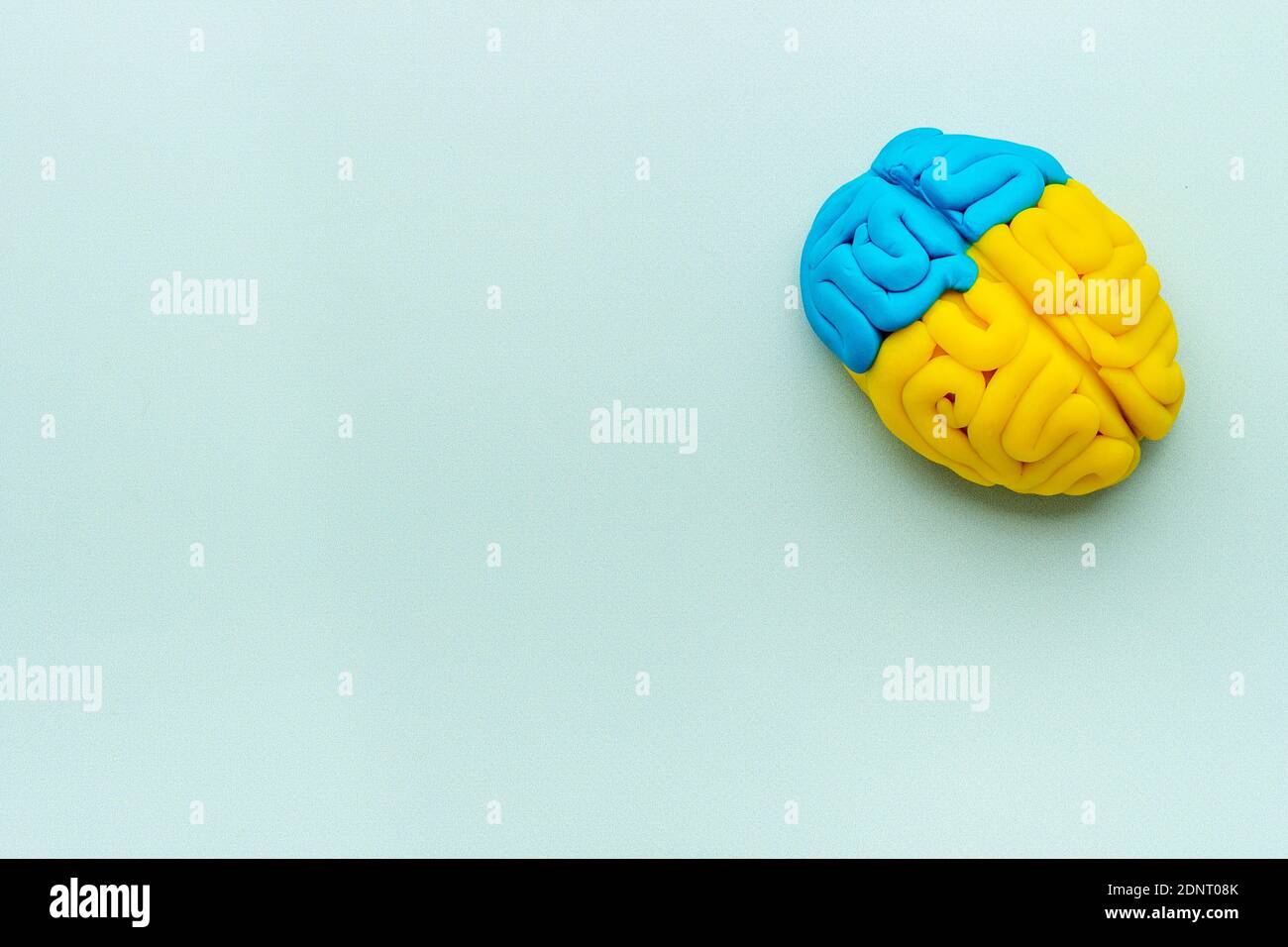 Clay model of human brain. Mental health bckground, top view Stock ...