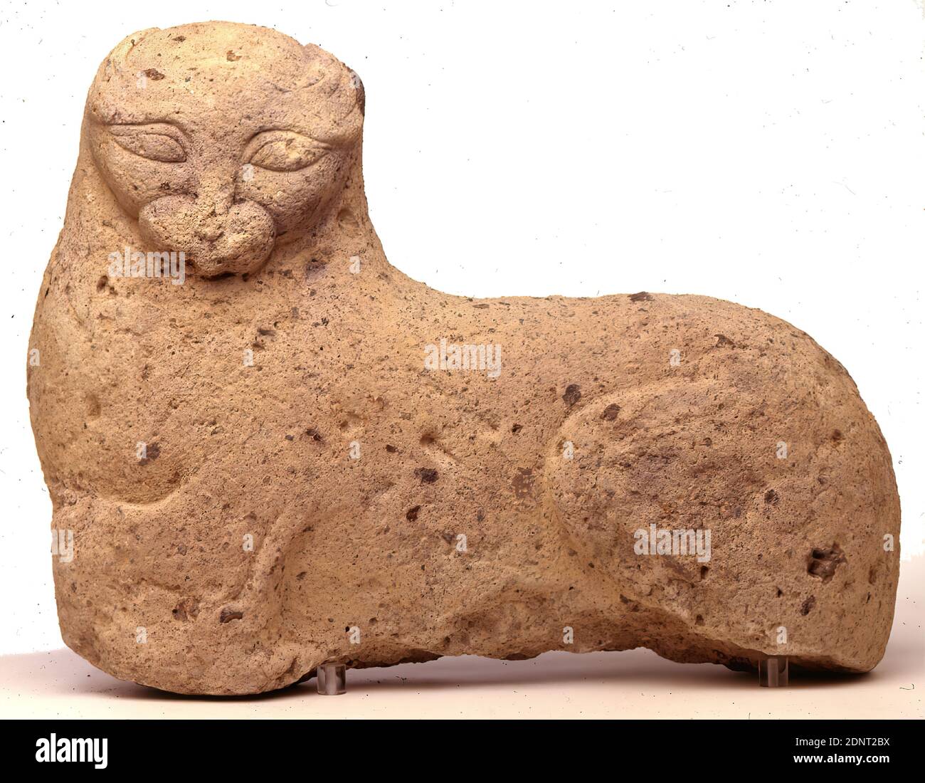 Bodies Turned To Stone