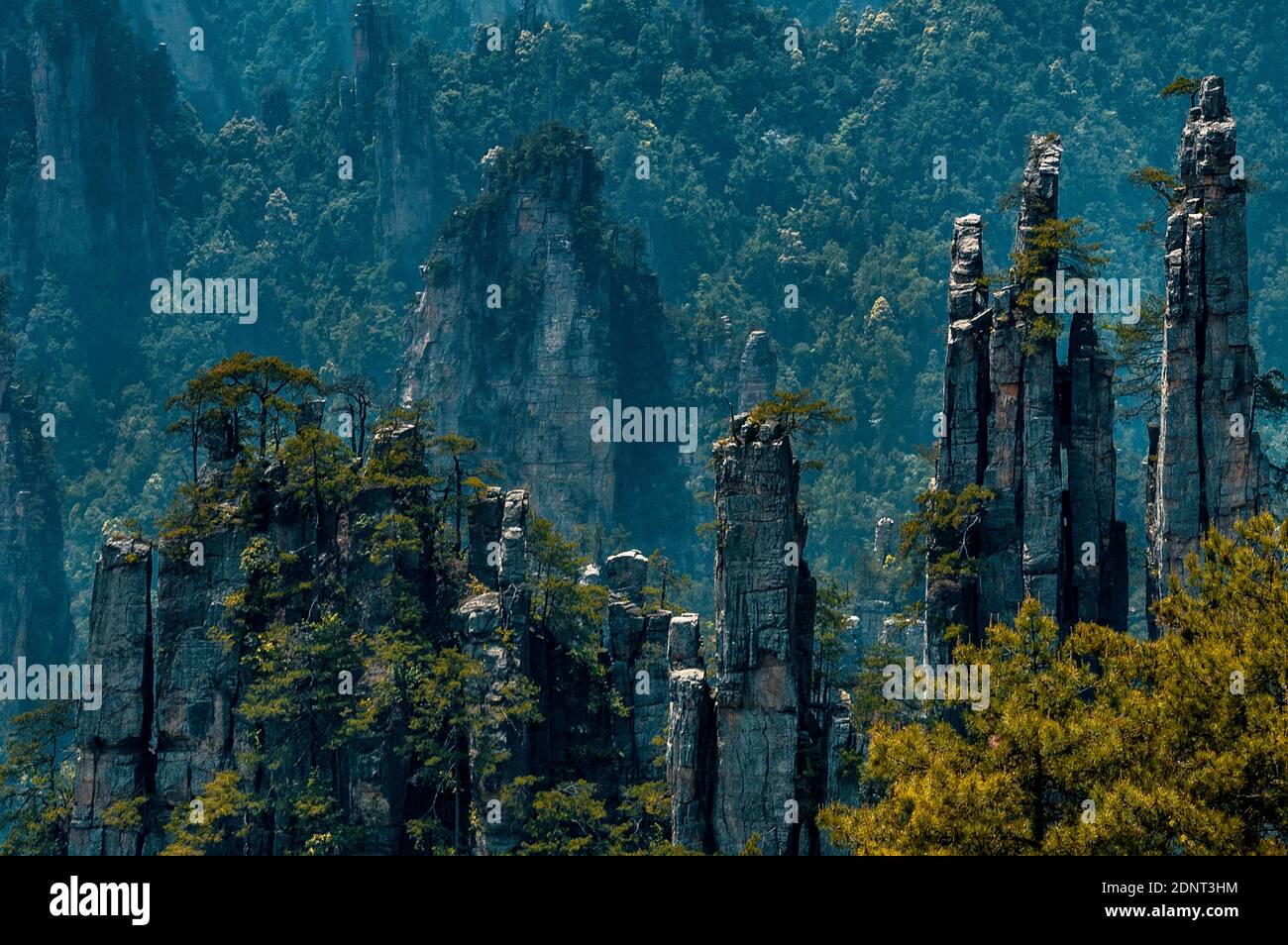 Hunan zhangjiajie scenery Stock Photo - Alamy