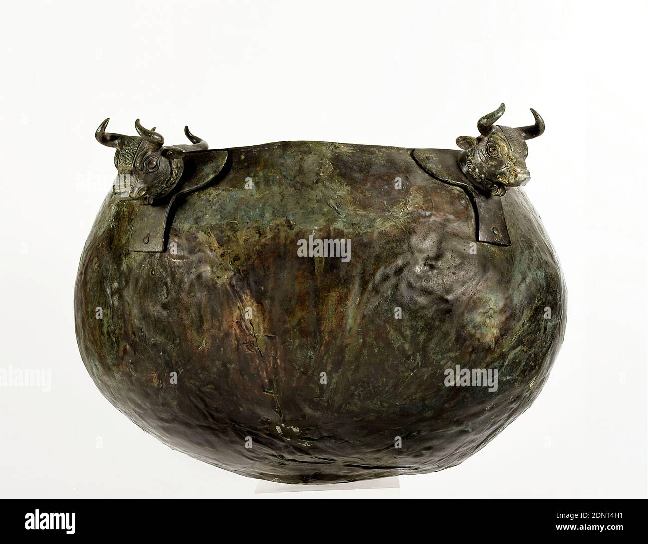 Cast muzzle hi-res stock photography and images - Alamy