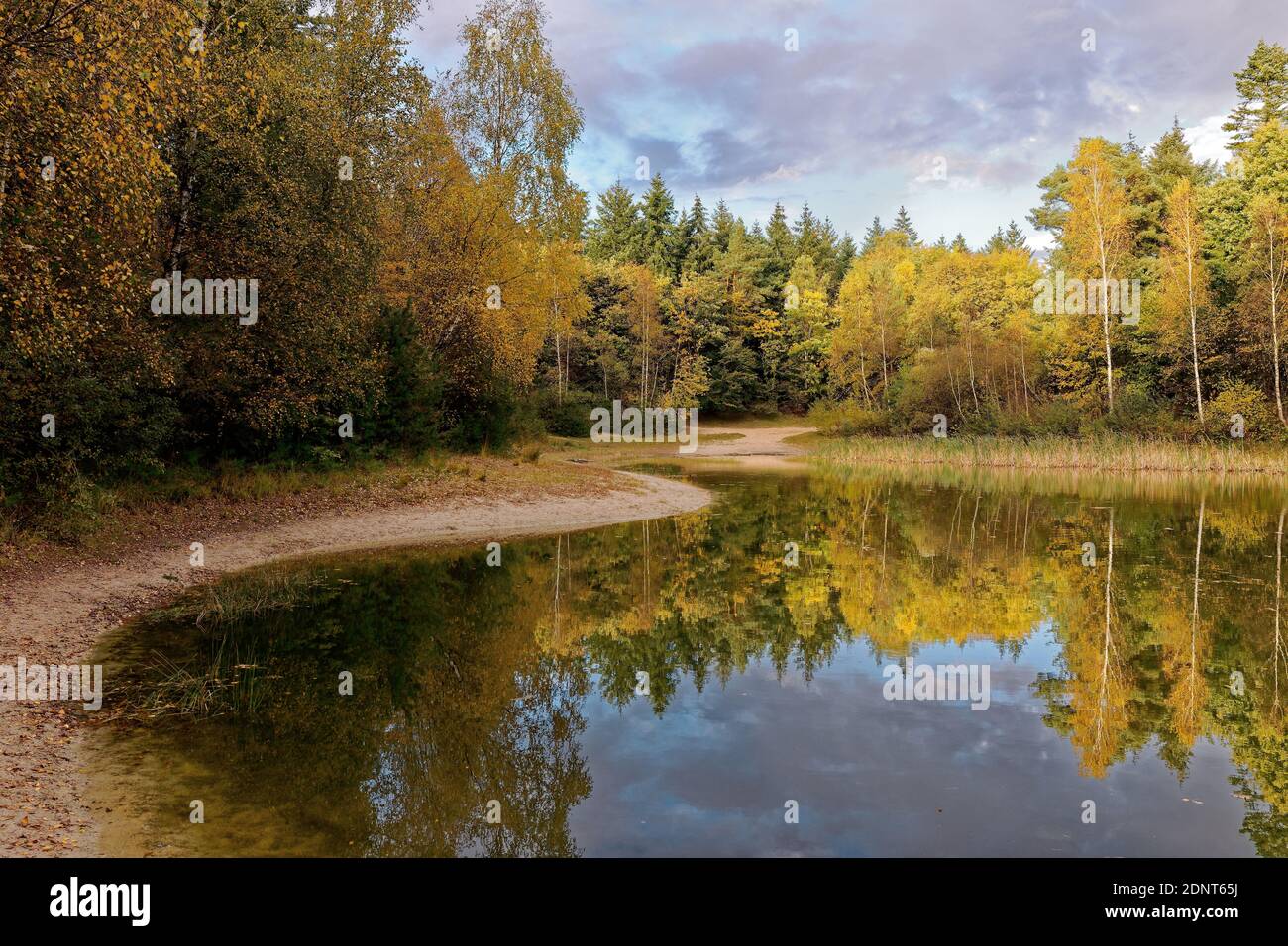 Hesel hi-res stock photography and images - Alamy