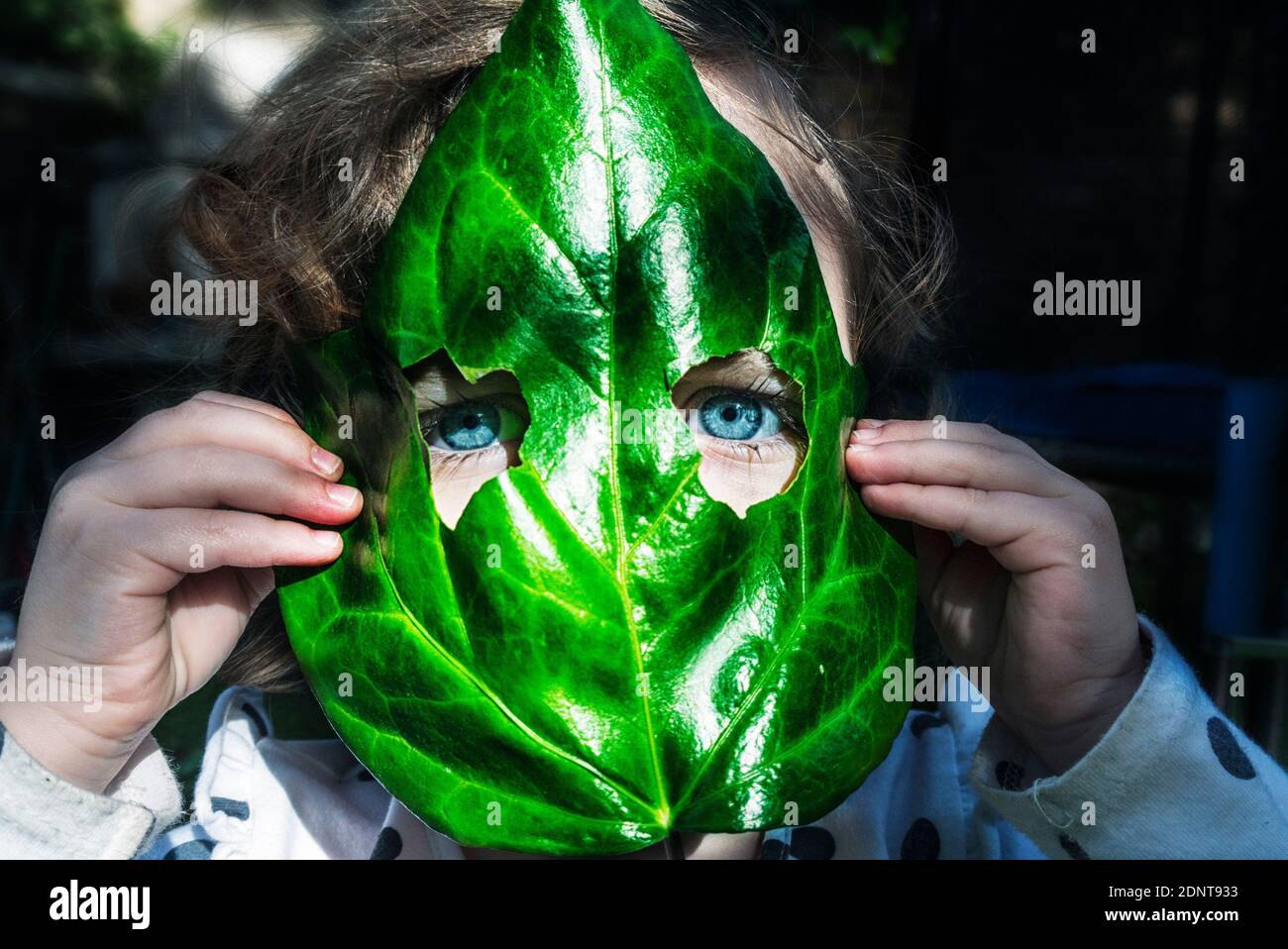 Portrait of a girl looking through a Leaf, Italy Stock Photo - Alamy
