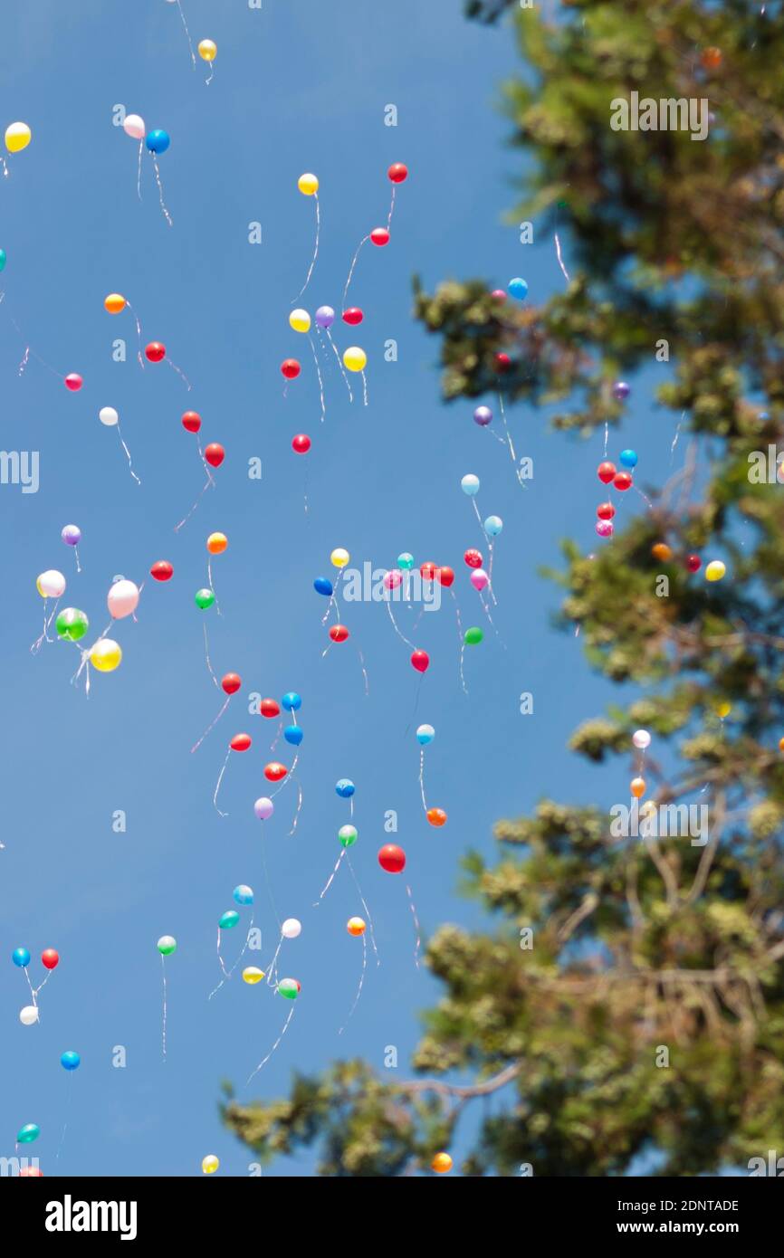 Helium Balloons Flying In The Sky at Grady Naylor blog
