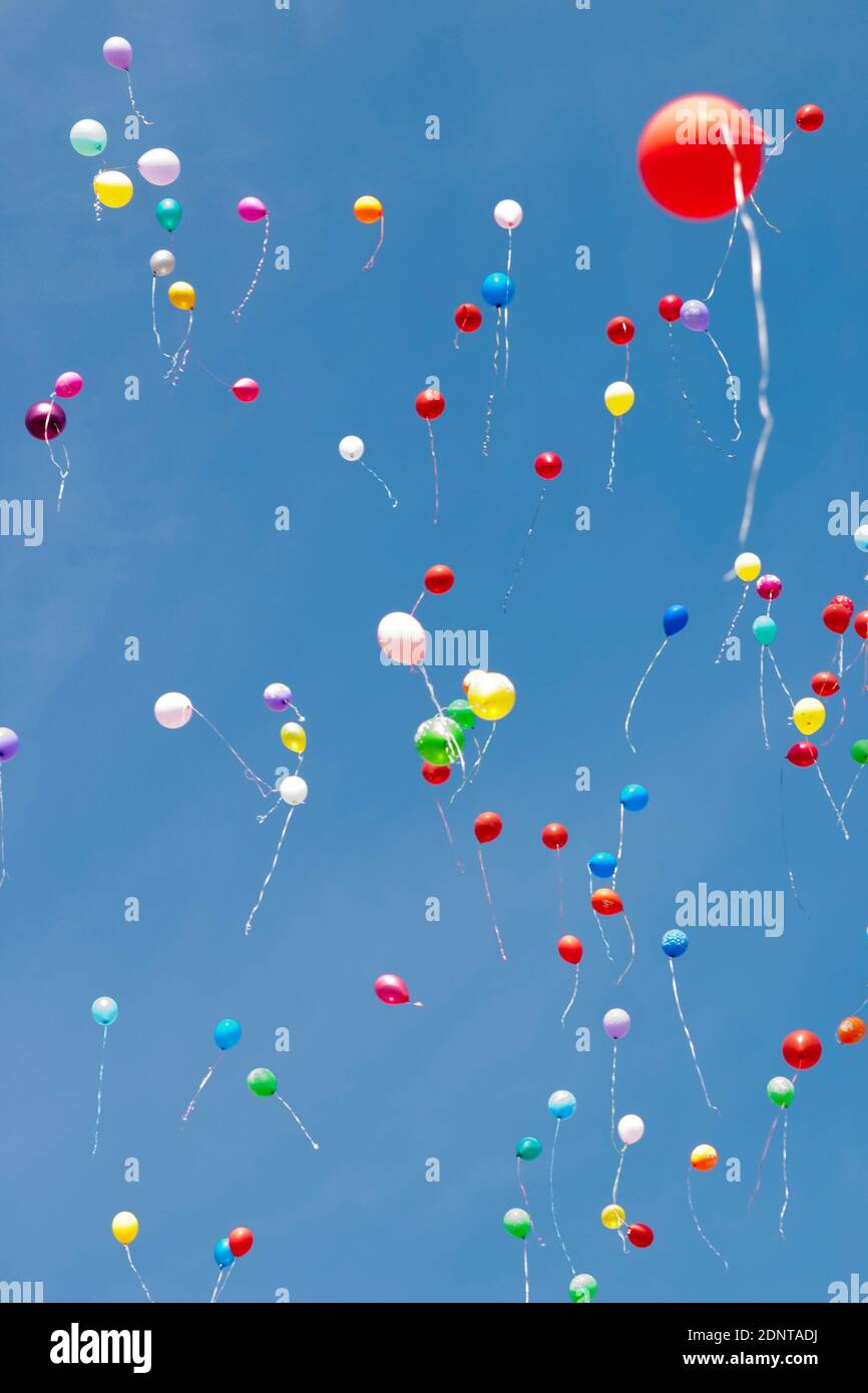 Helium Balloons Flying In The Sky at Grady Naylor blog