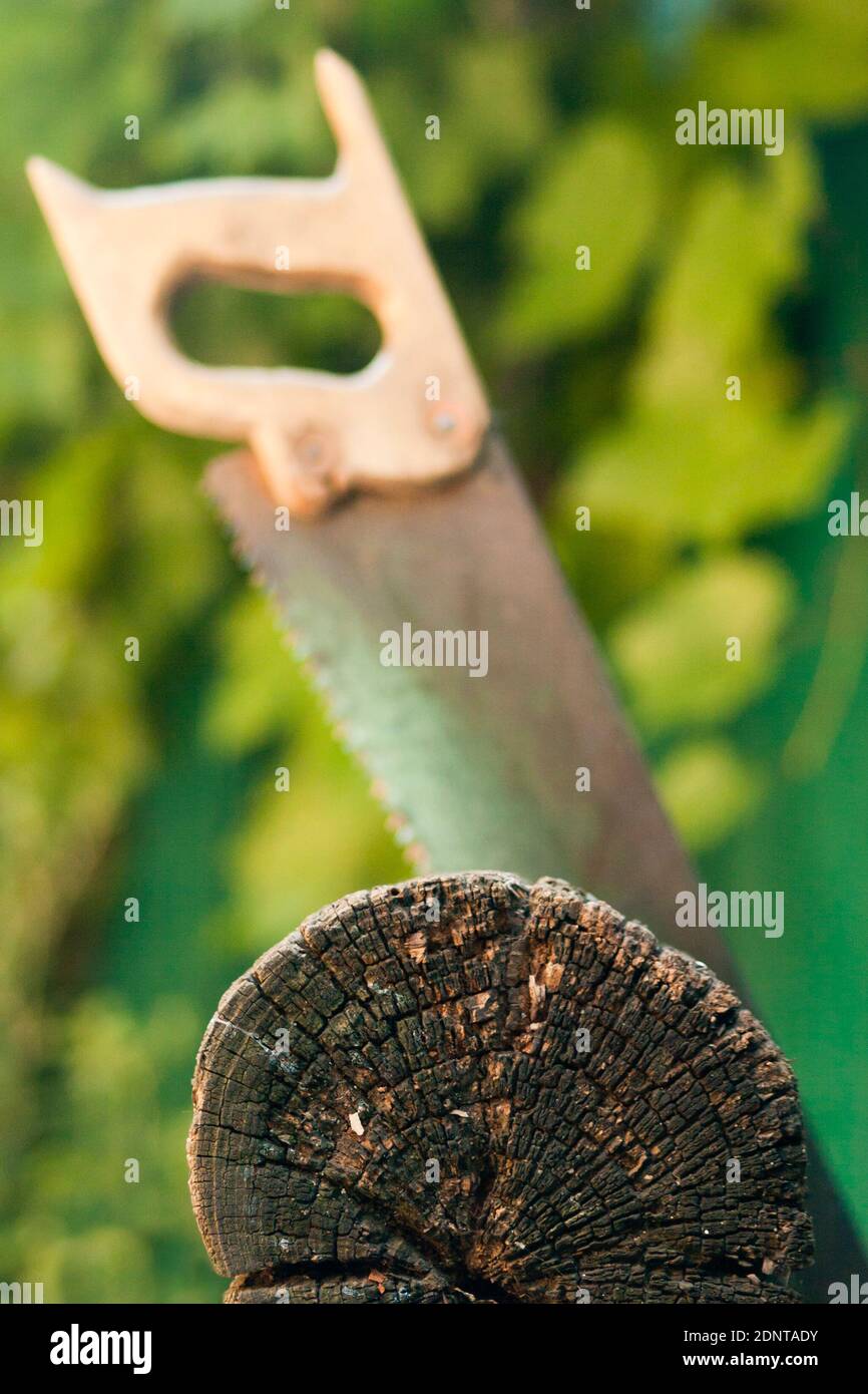 Log sawing hi-res stock photography and images - Alamy