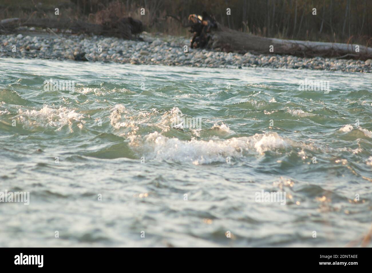The Kuban River in the suburbs of the city of Cherkessk at sunset ...