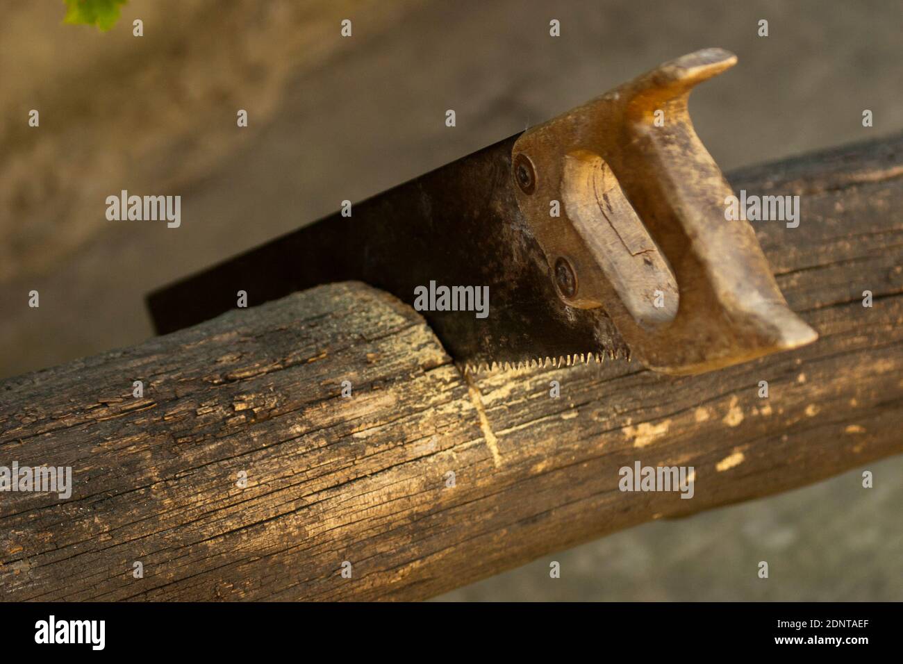 Log sawing hi-res stock photography and images - Alamy