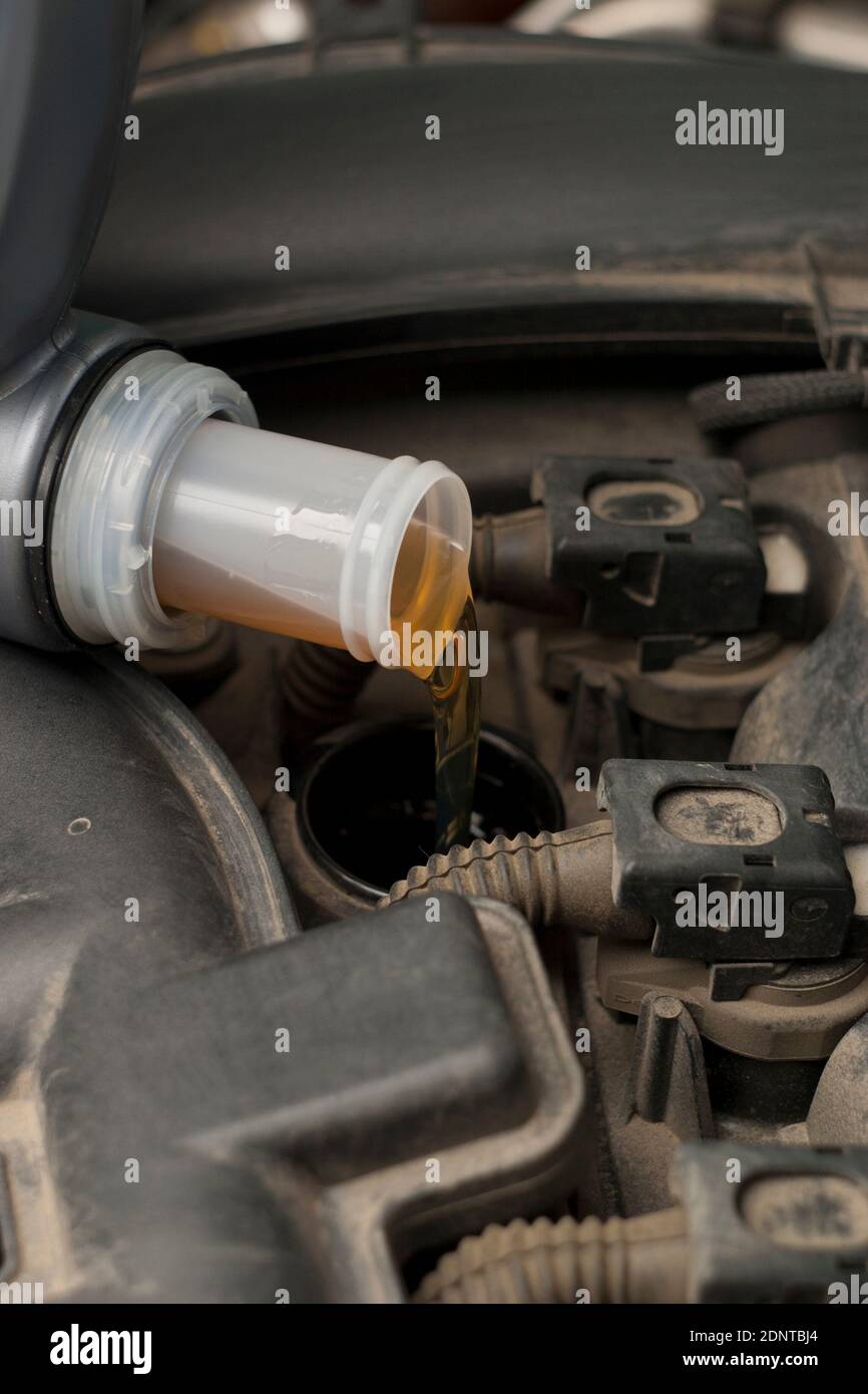 Refueling with car engine oil. The engine compartment, canister and ...