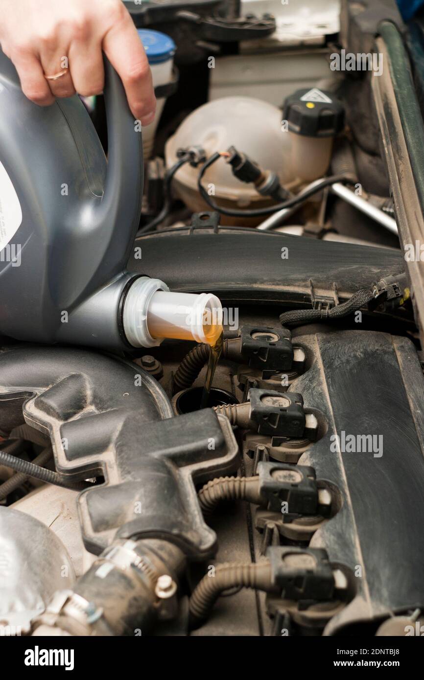 Refueling with car engine oil. The engine compartment, canister and ...