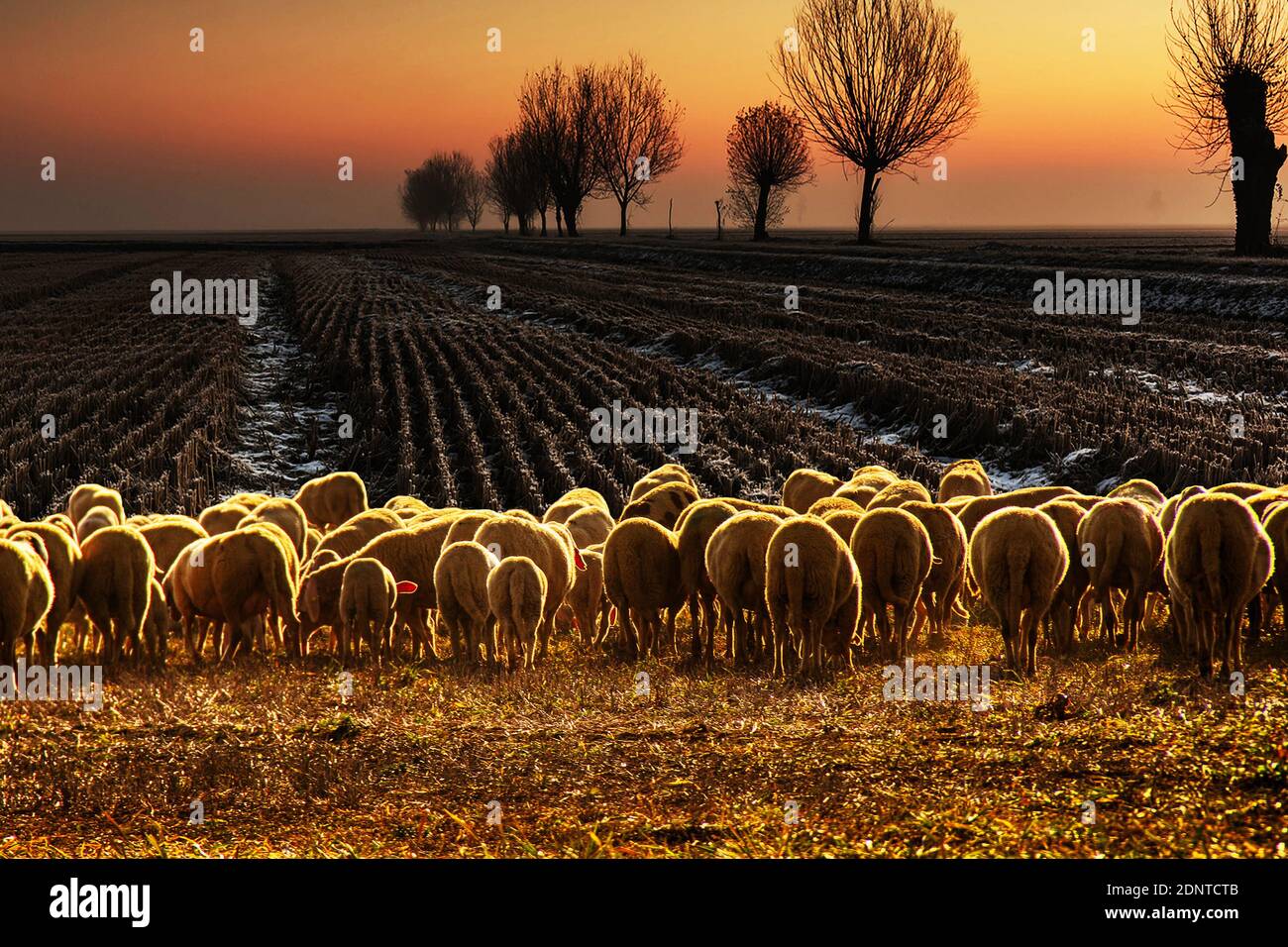 Alessandria italy view hi-res stock photography and images - Alamy