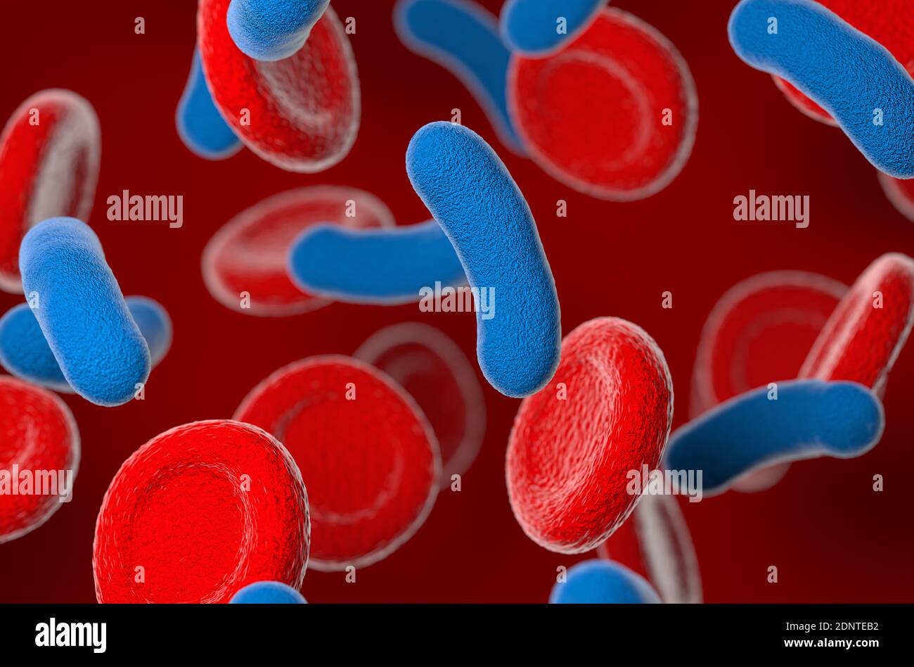 3d render blue color bacterium with blood cells blue background Stock ...