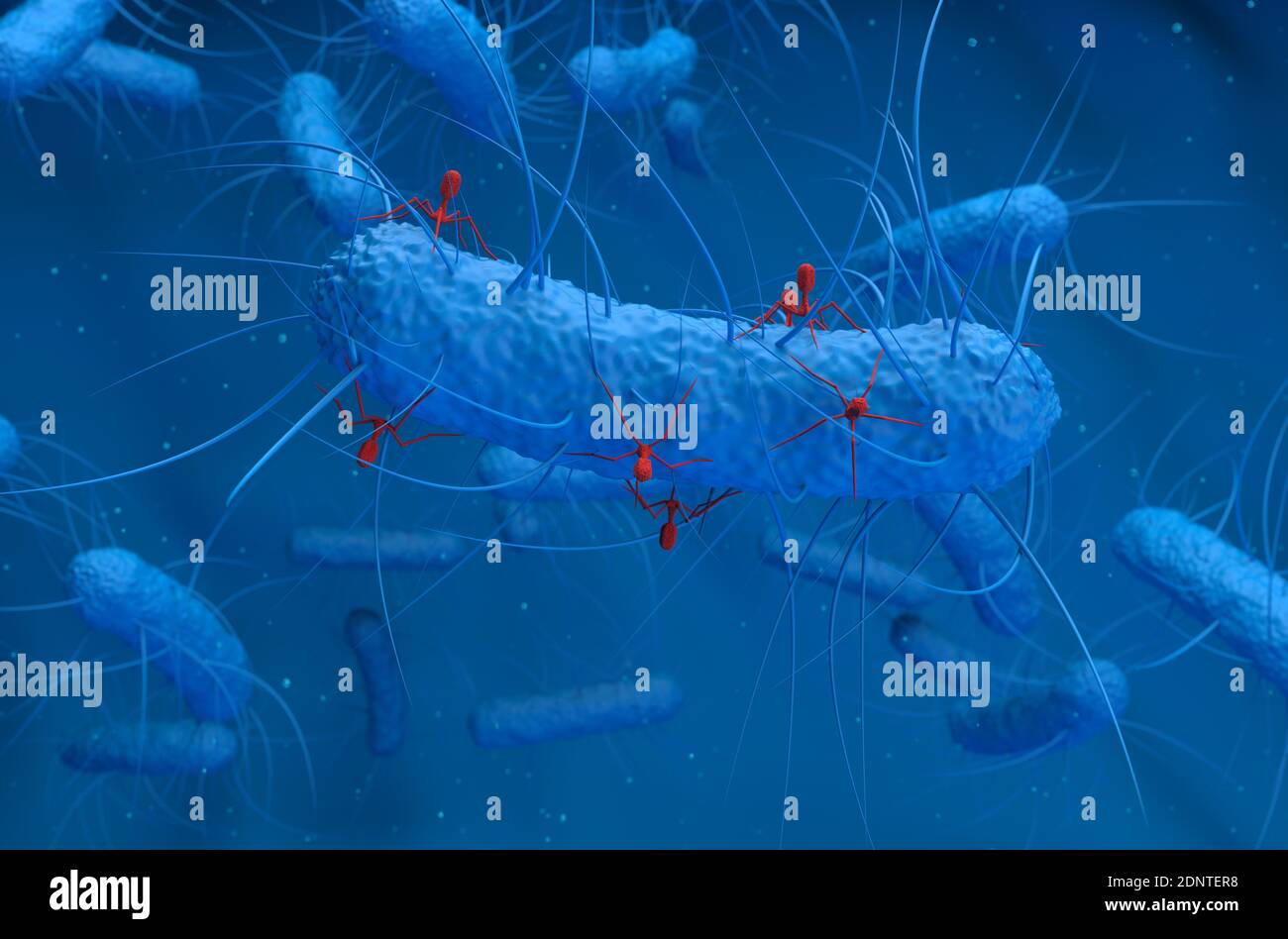 Bacteriophage viruses attack bacteria 3d render illustration closeup ...