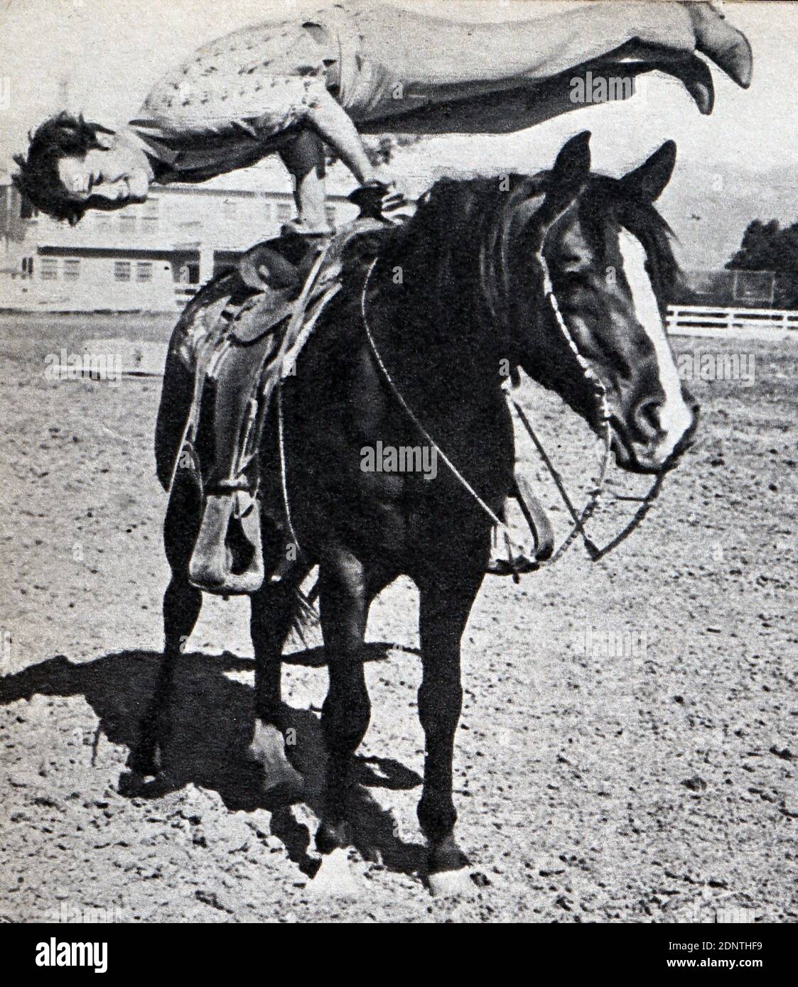 Roy rogers and trigger hi-res stock photography and images - Alamy