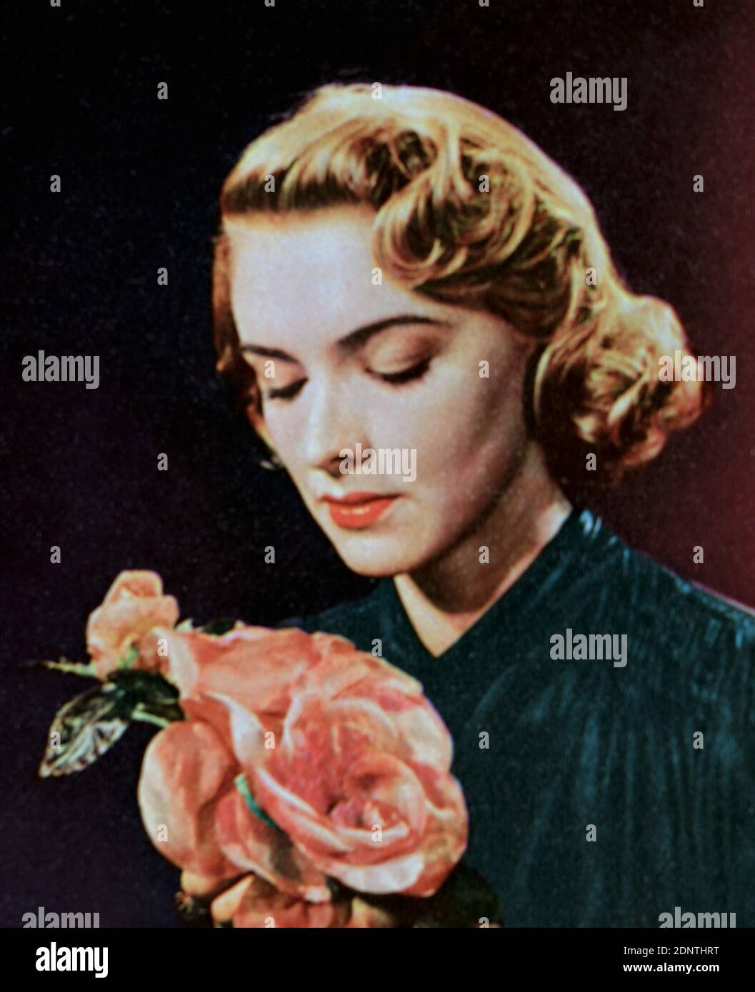 Photograph of Susan Shaw (1929-1978) an English actress Stock Photo - Alamy