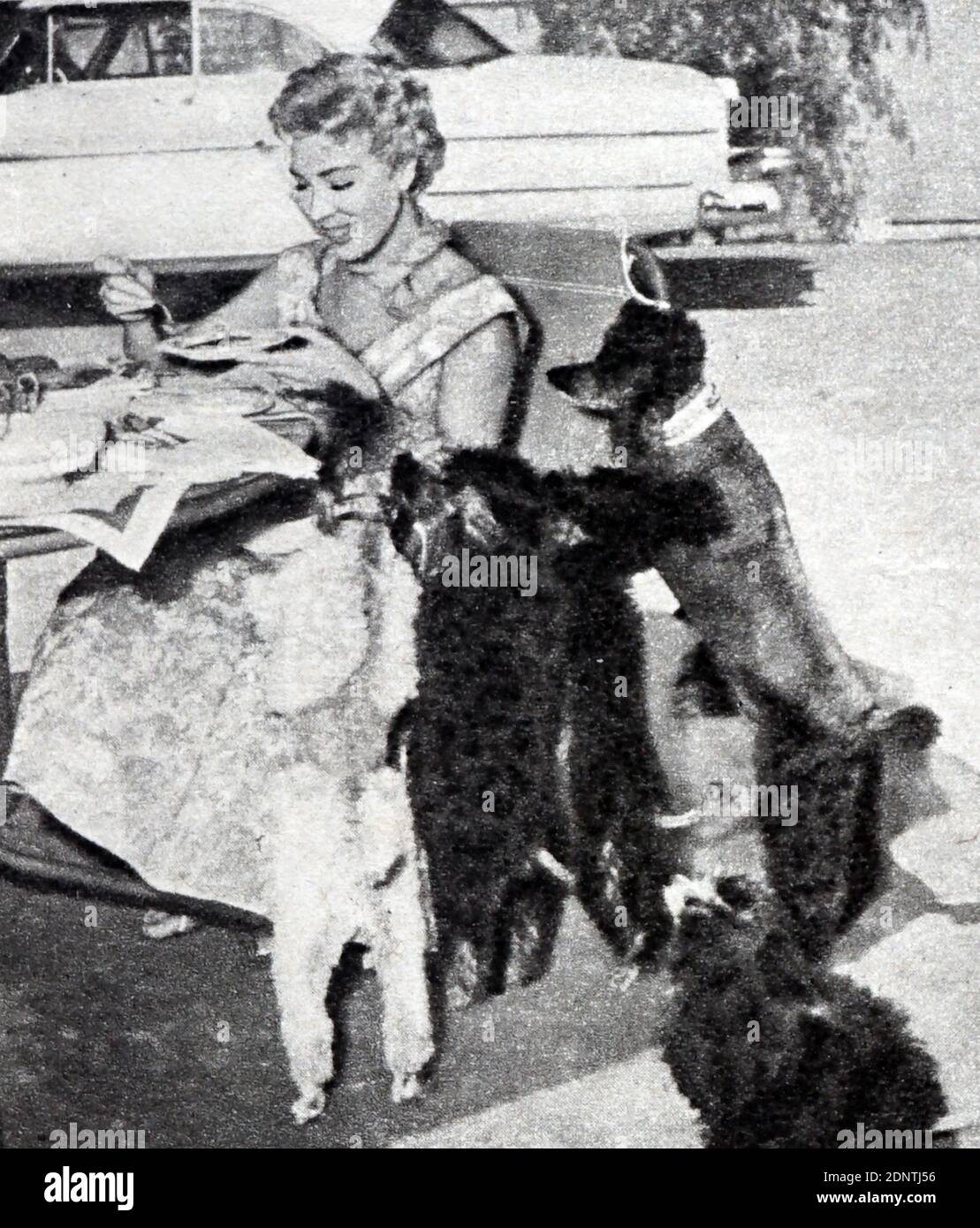 Photograph of Dolores Gray (1924-2002) an American actress and singer ...