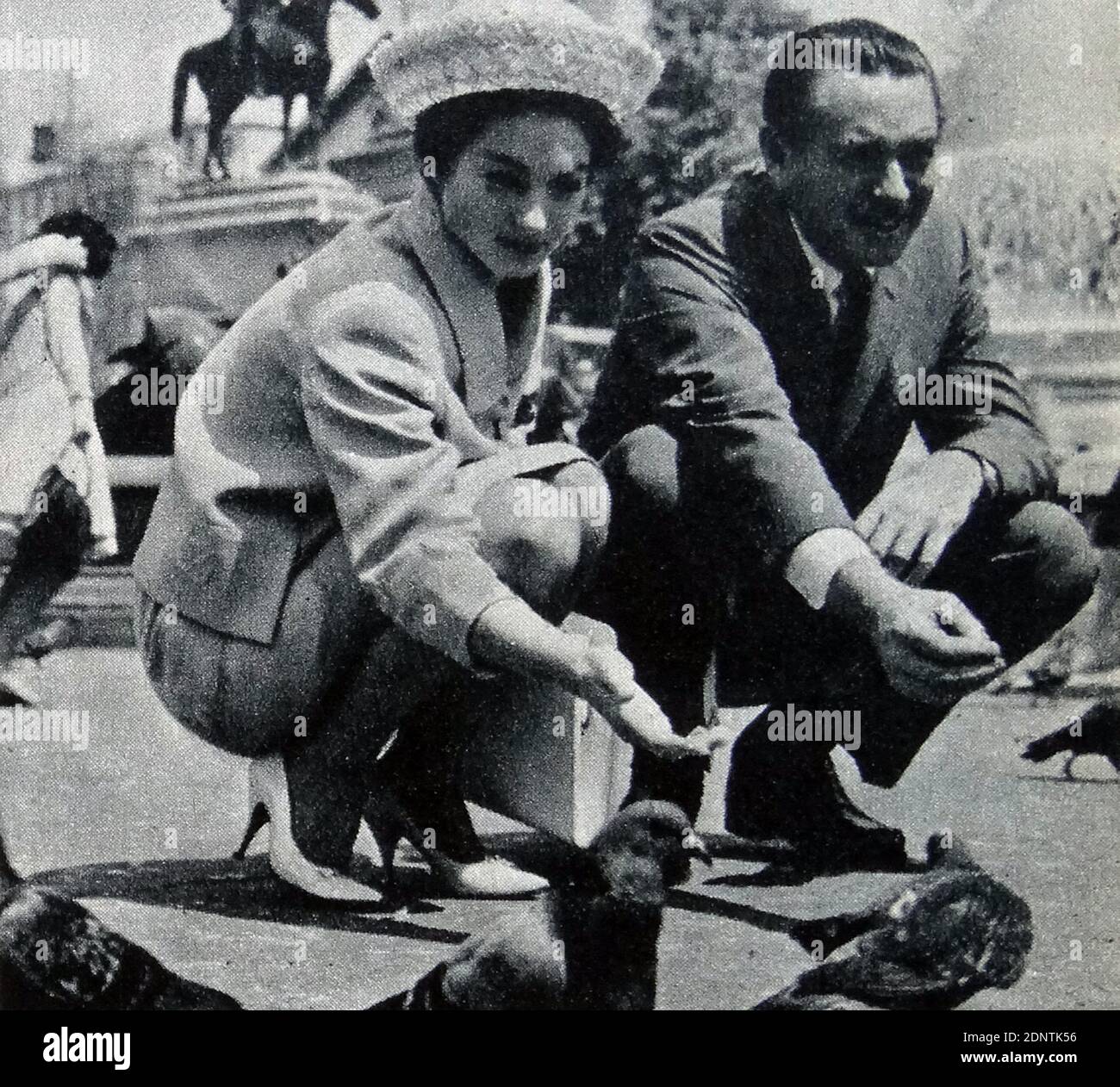 Anne shirley hi-res stock photography and images - Alamy