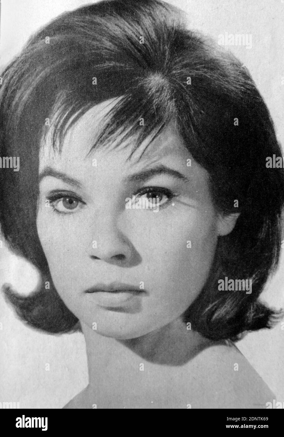 Breck hi-res stock photography and images - Alamy