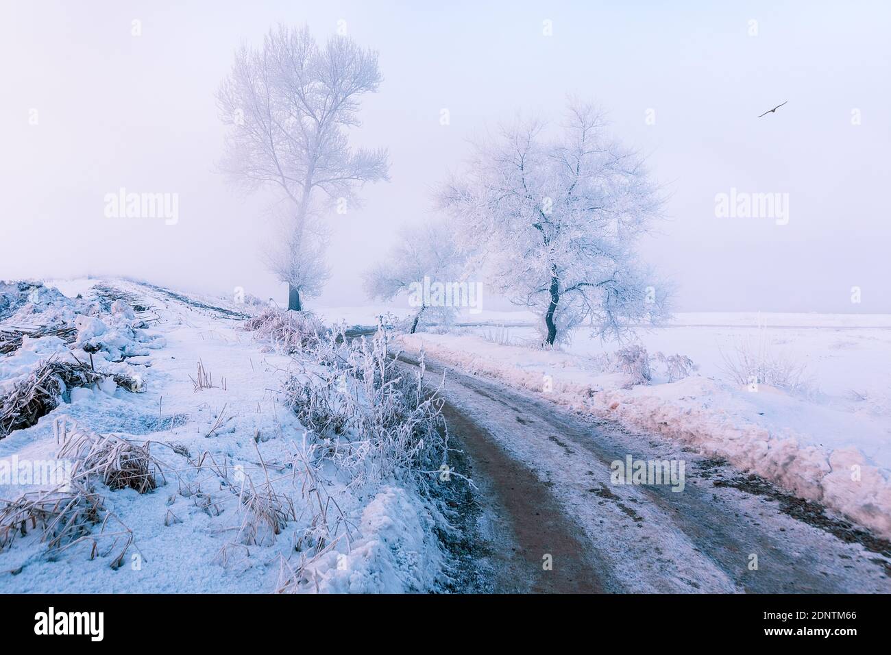 Han tun hi-res stock photography and images - Alamy