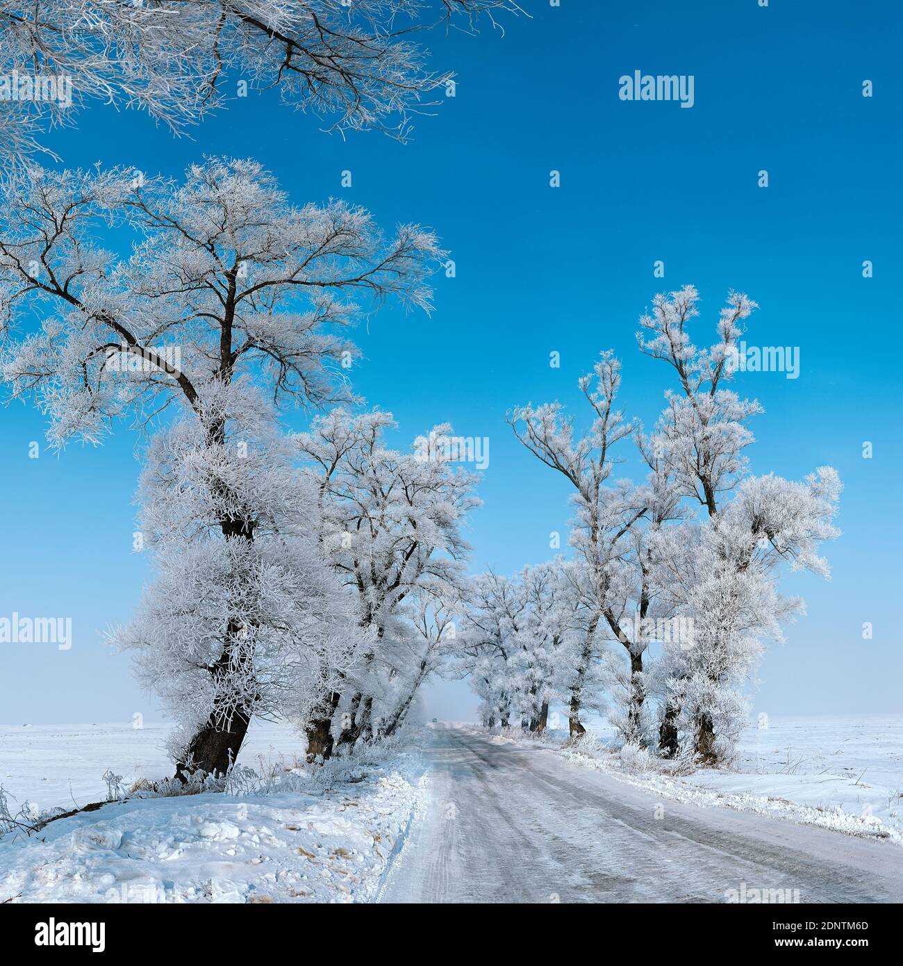 Han tun hi-res stock photography and images - Alamy