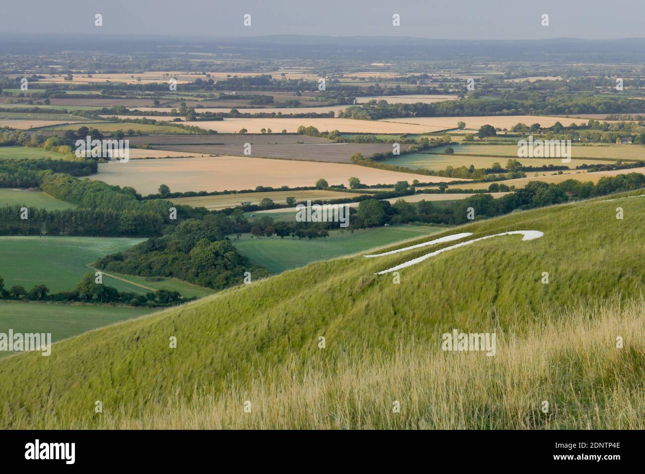 English countryside view from White Horse Hill Uffington stretching out ...