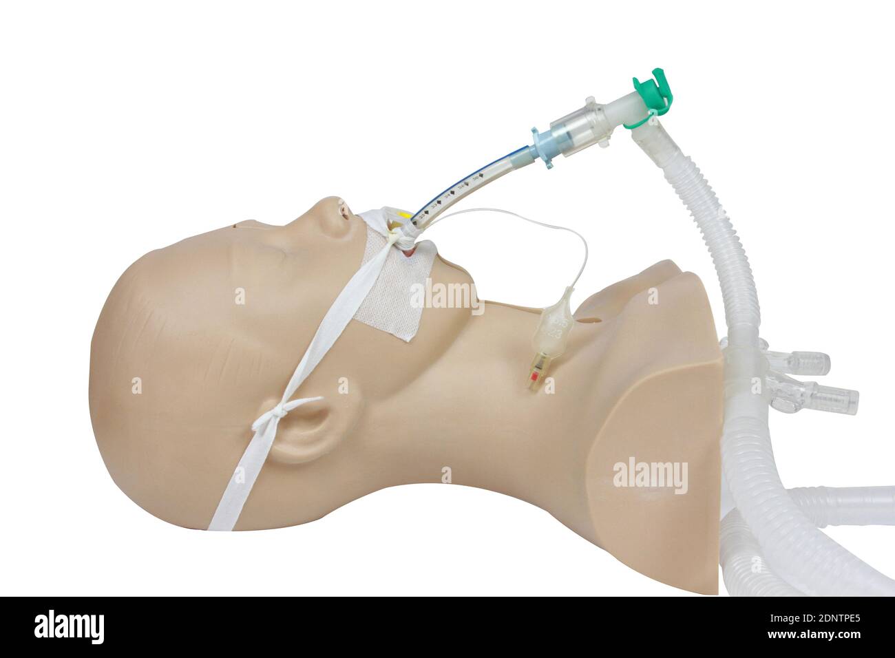 Airway Intubation High Resolution Stock Photography and Images - Alamy