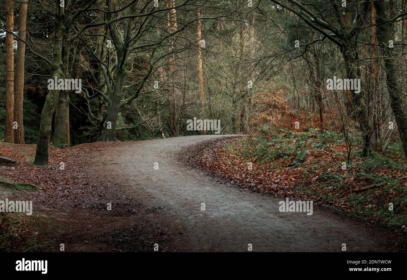 Blakemere hi-res stock photography and images - Alamy