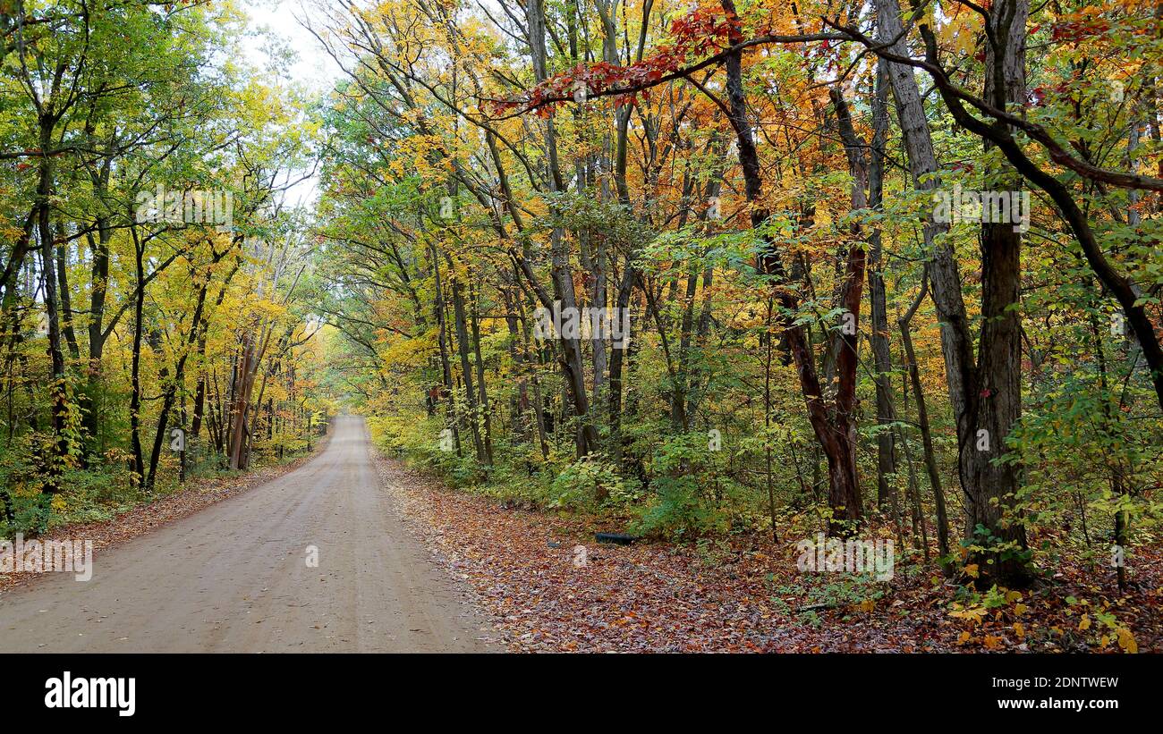 Tree lined dirt road with autumn foliage in west Michigan Stock Photo ...