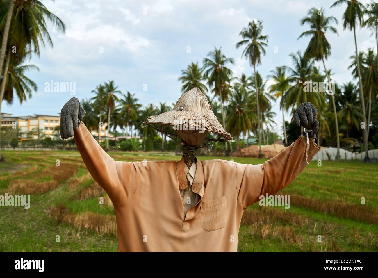 Real Scarecrow High Resolution Stock Photography and Images - Alamy