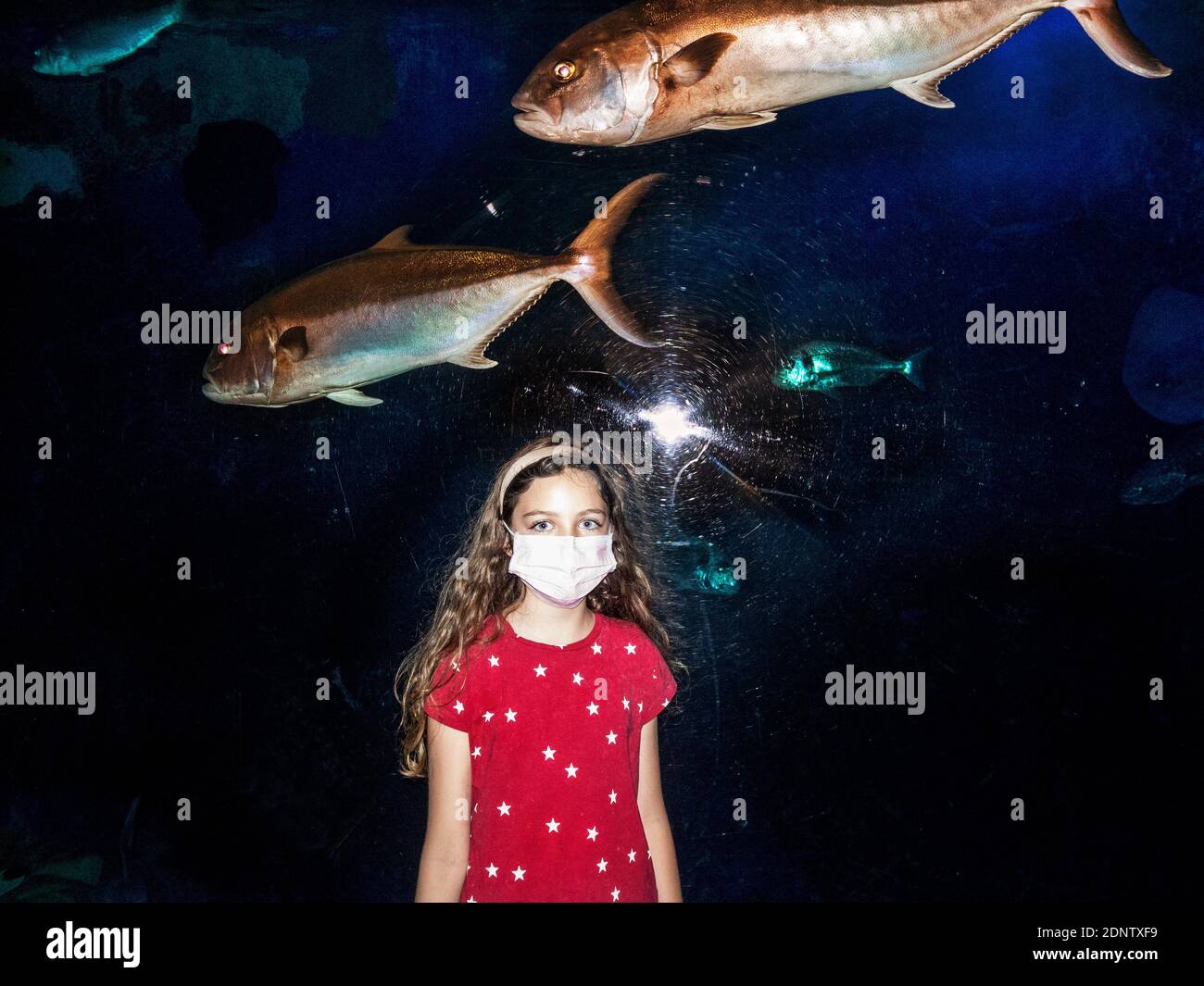 Recreational aquarium hi-res stock photography and images - Alamy