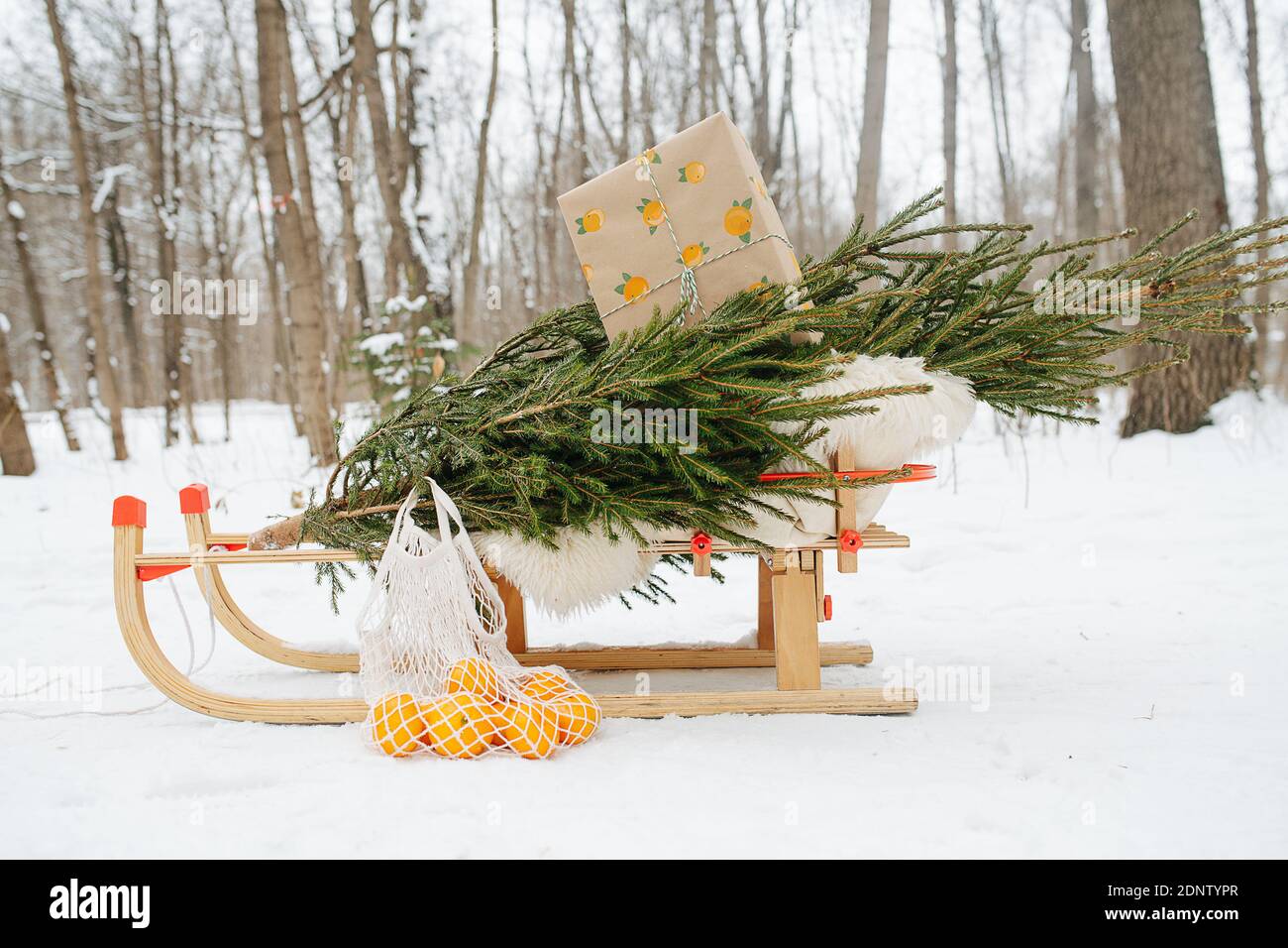 Composition of wooden sleigh with fir tree and present on top Stock ...