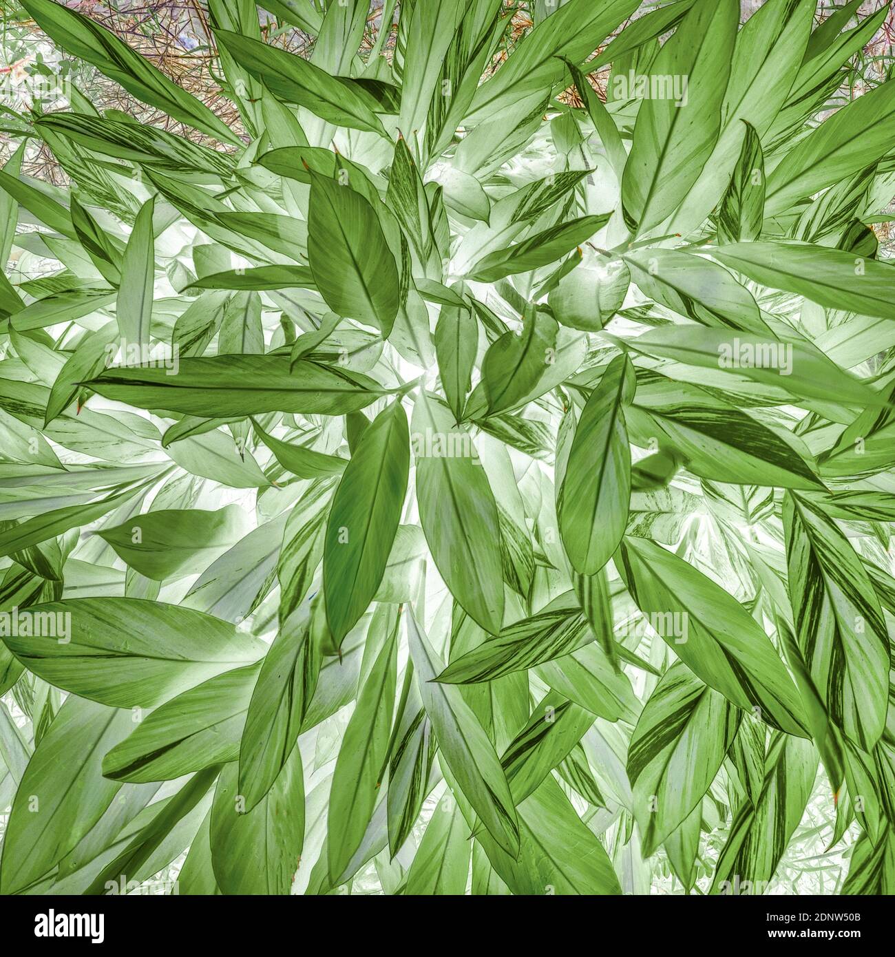 Jiang hua xie yan mountain Stock Photo - Alamy