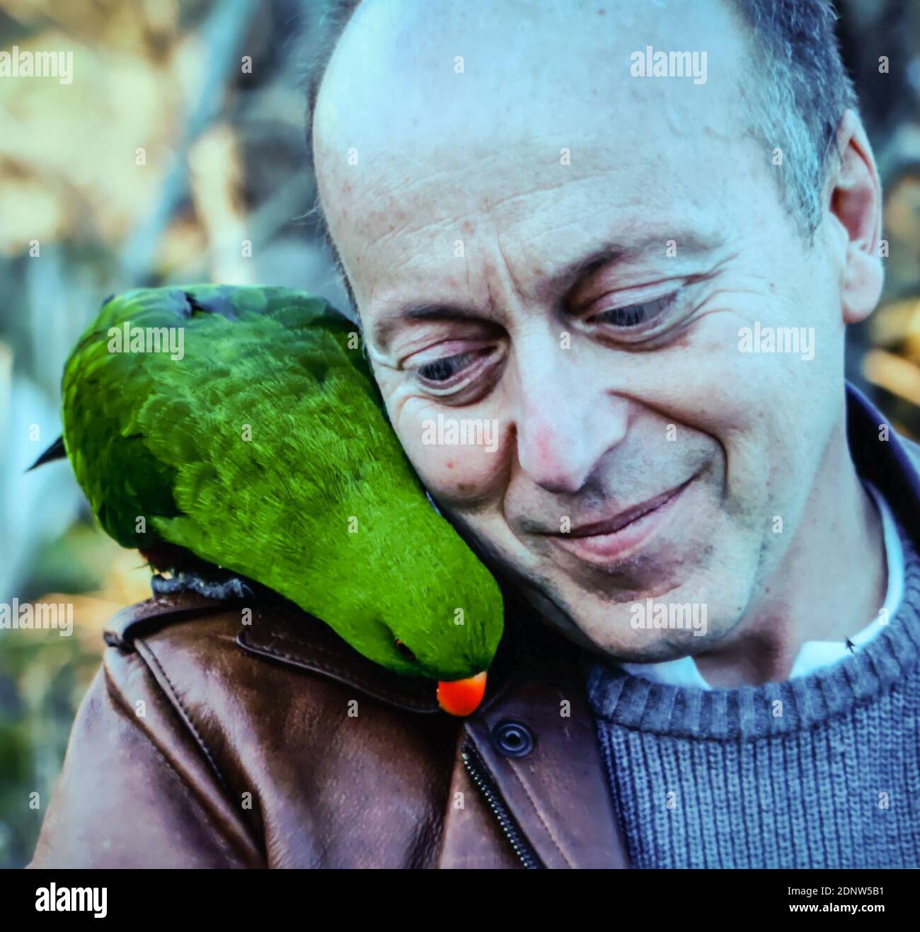 Carrying parrot hi-res stock photography and images - Alamy
