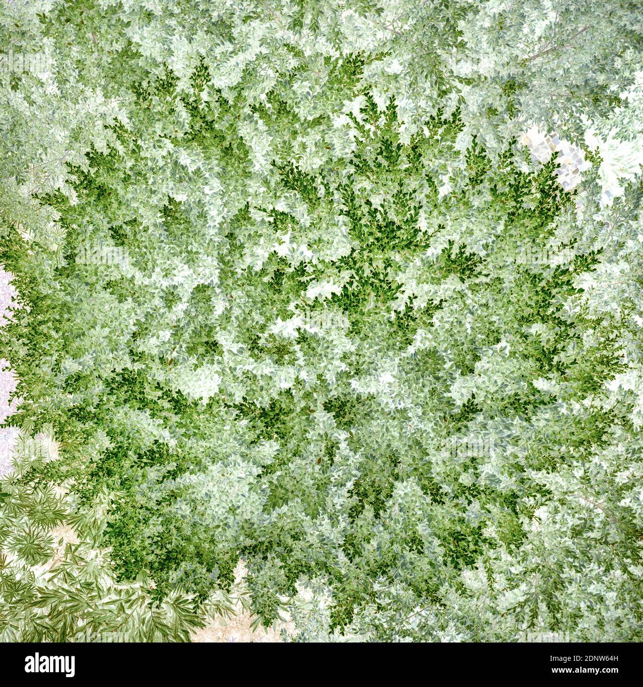 Flocculus hi-res stock photography and images - Alamy